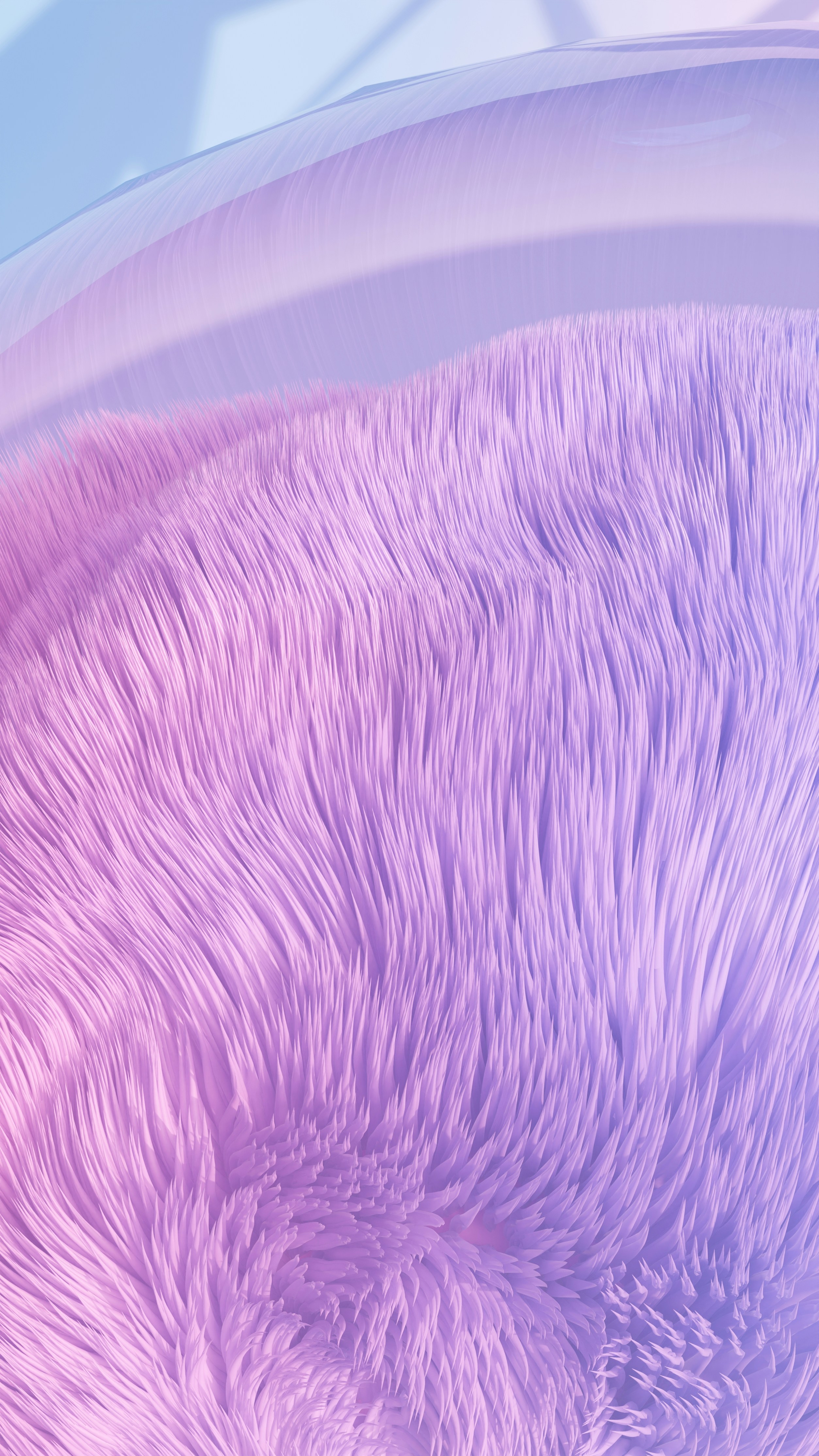 A close up of a purple object with a blurry background photo – Free Fur ...