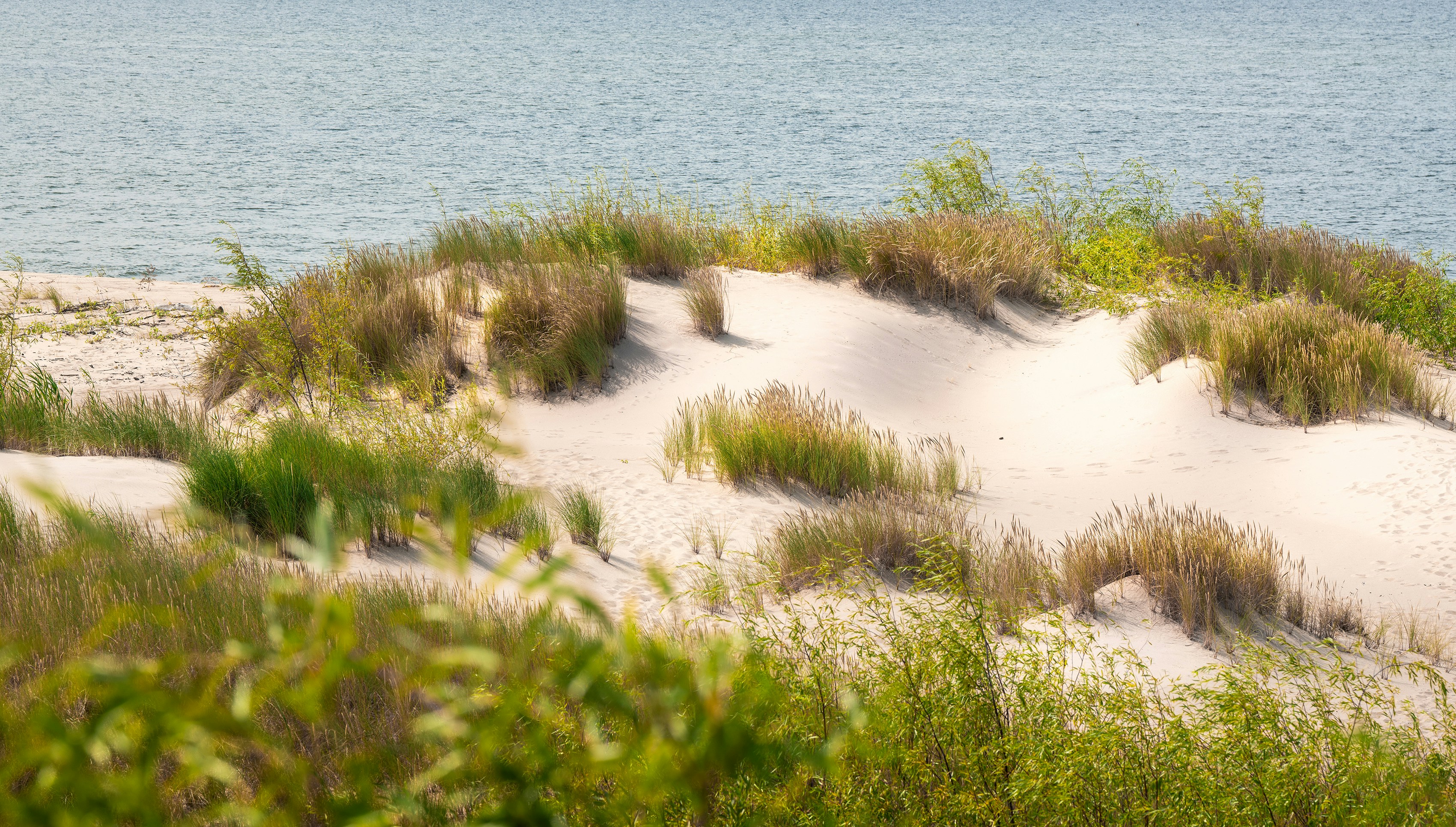 Clean sand on Baltic Sea dunes. Natural background.