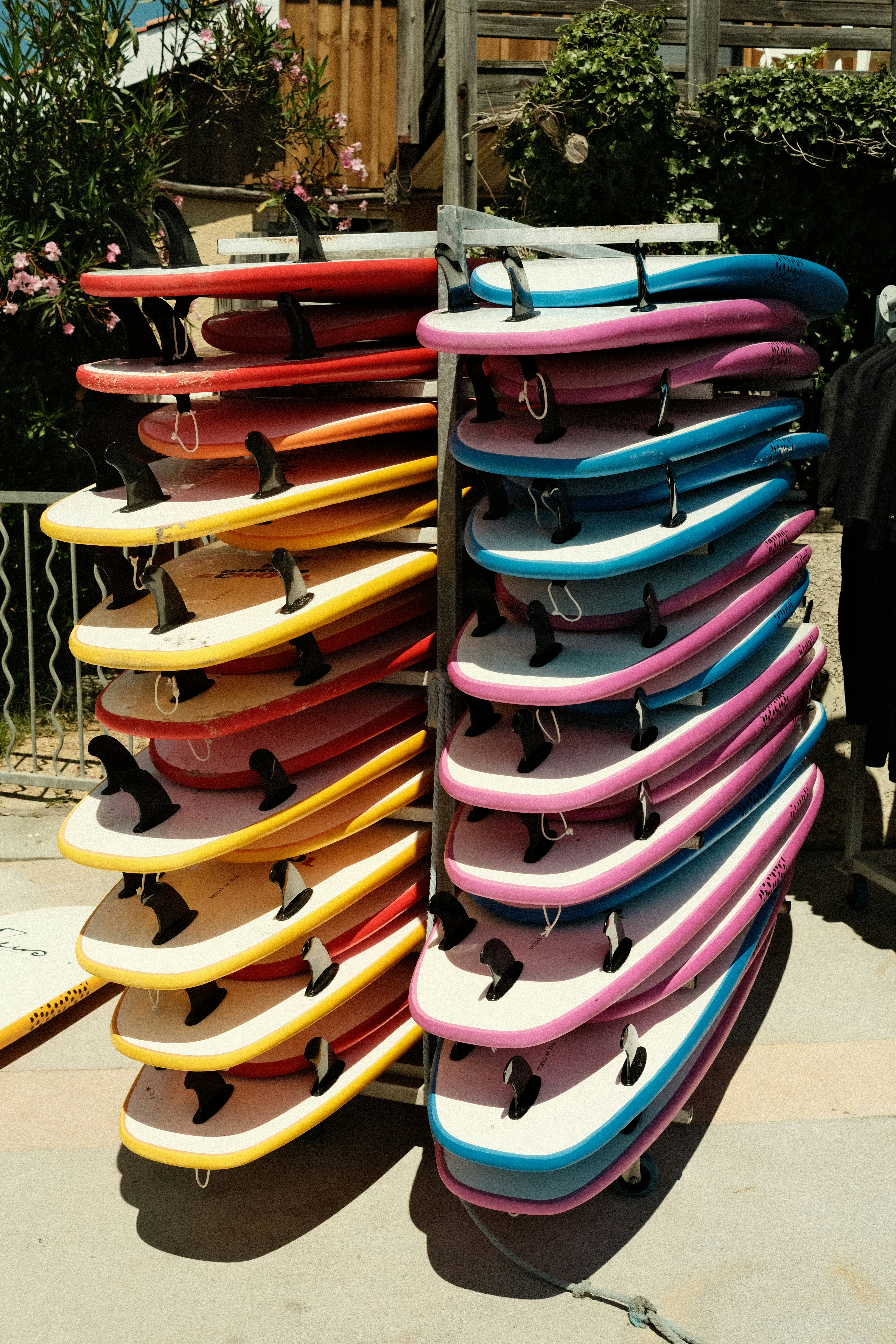 A bunch of surfboards are stacked on a rack photo – Free Human Image on ...