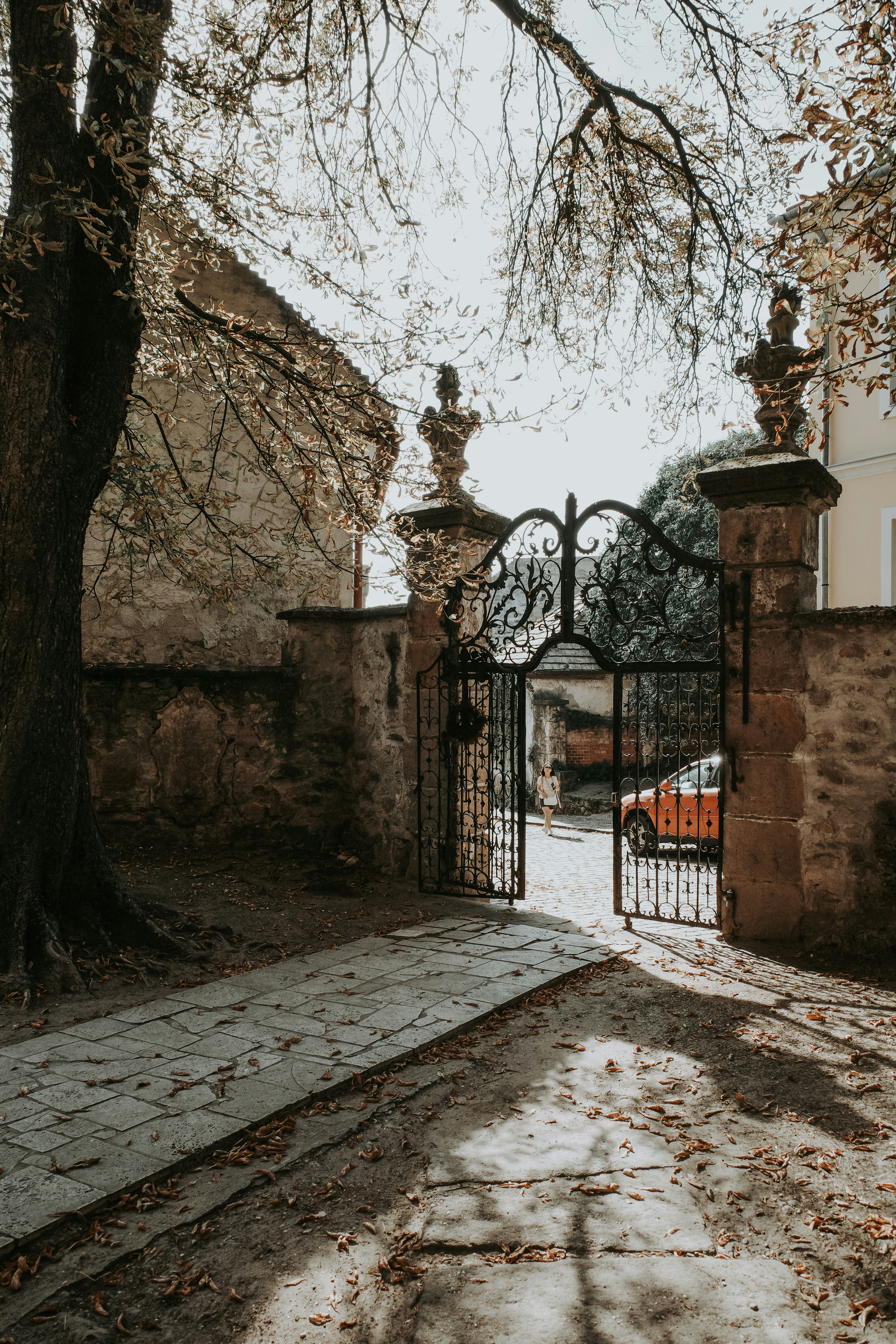 Sunlit Threshold: An Open Gate on a Quiet Street