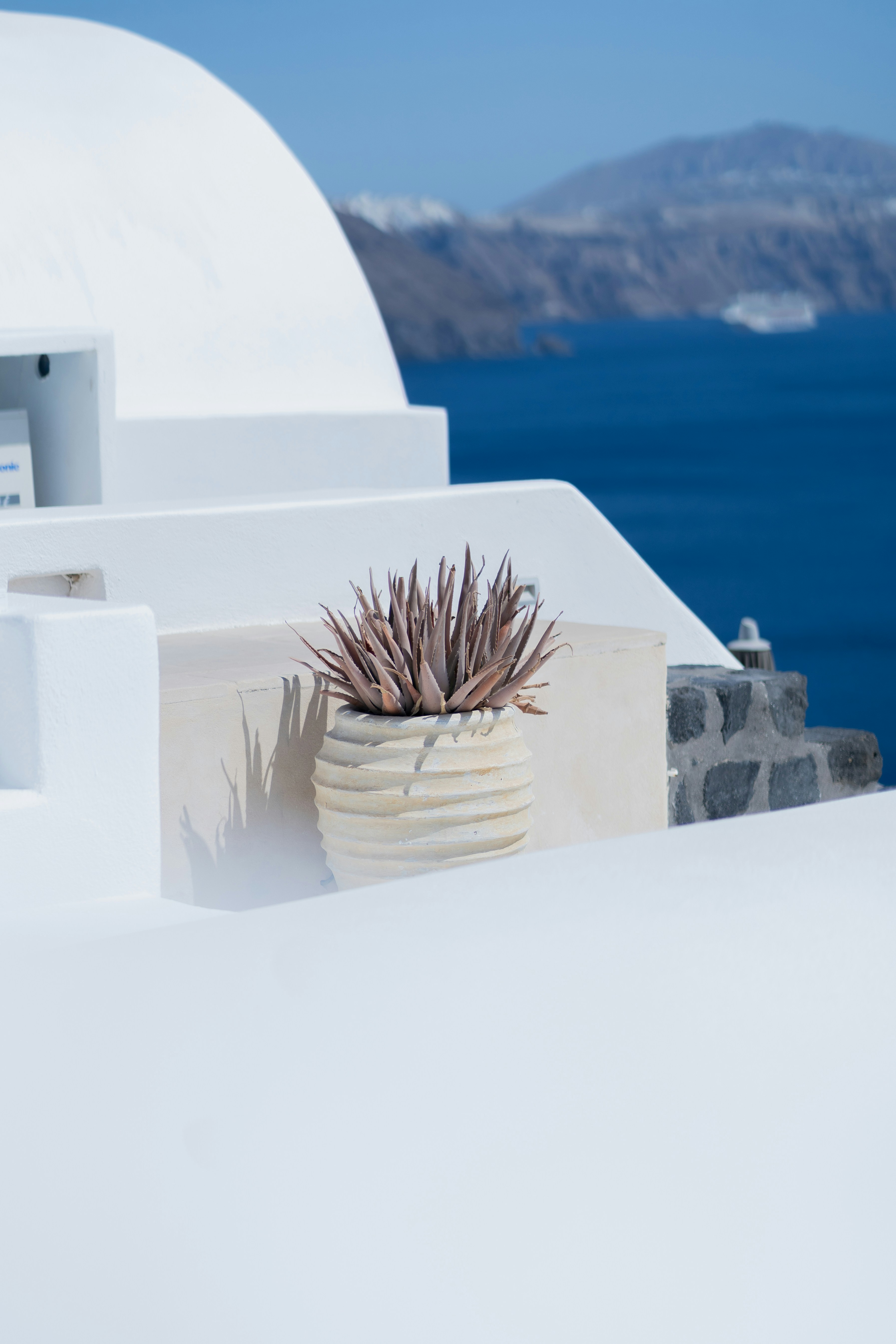 Spiky Succulent in a Whitewashed Nook Framing the Aegean Horizon