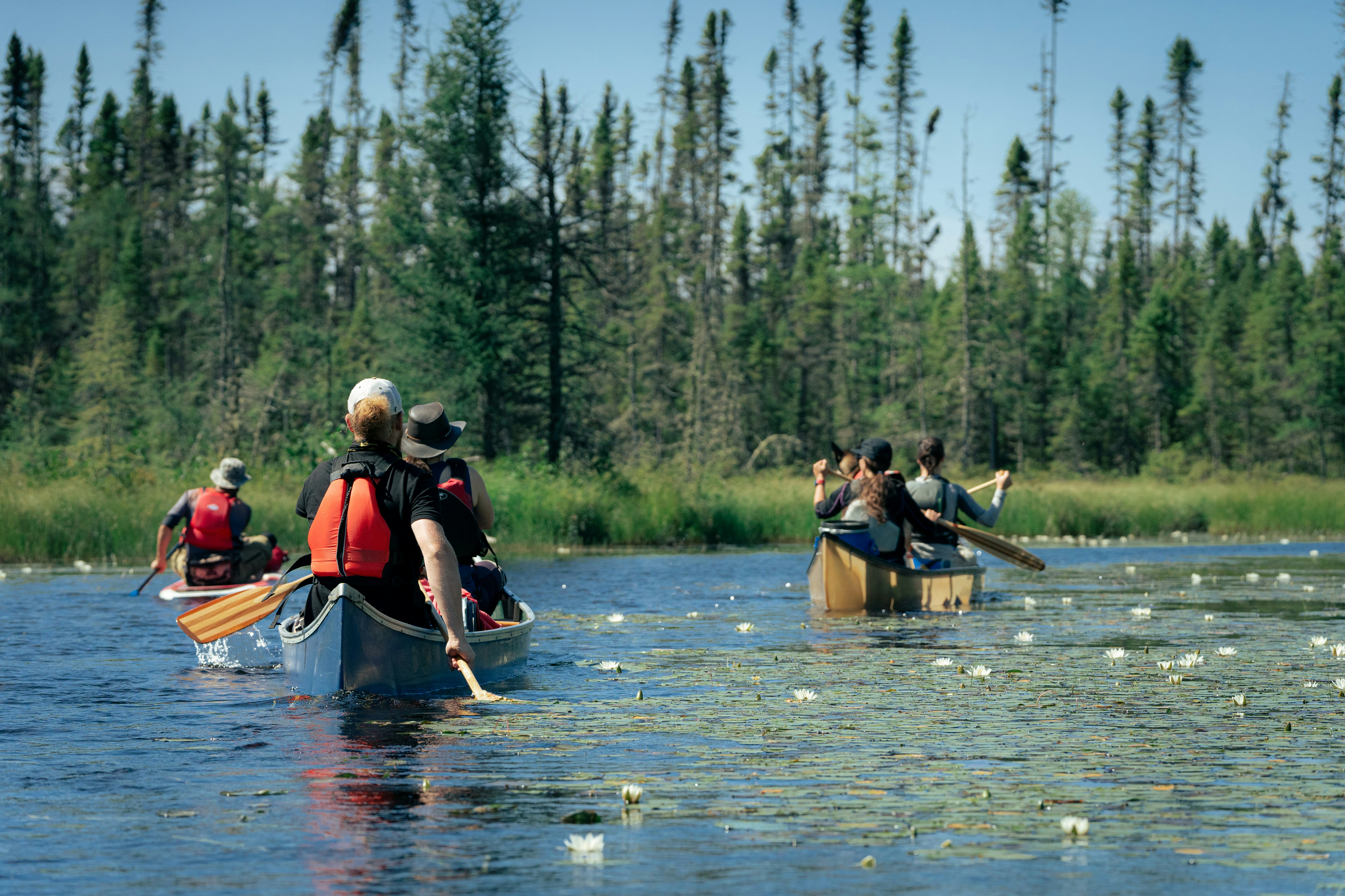Canoe Cadence: A Riverside Crossing Under Pine Sentinels