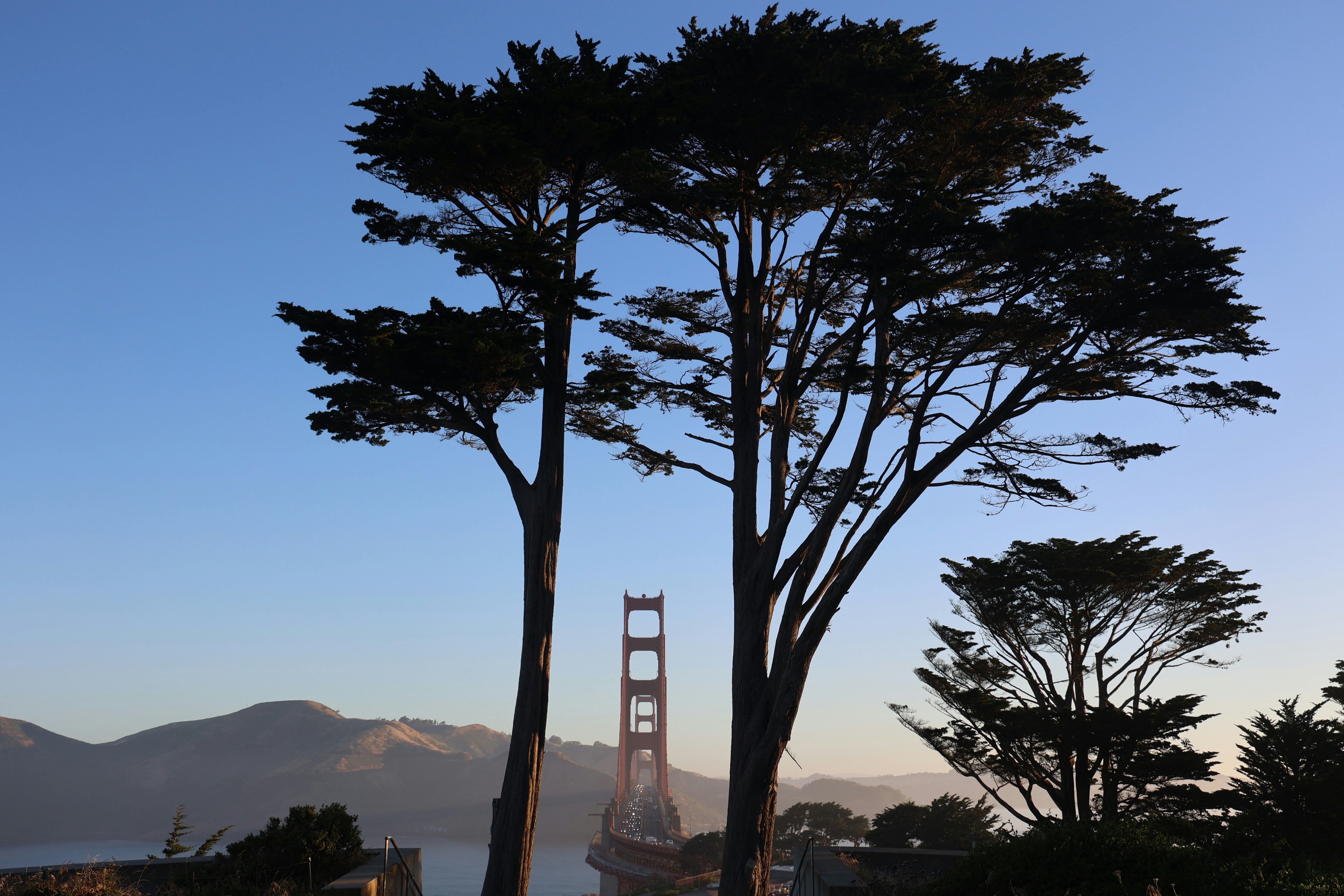 Golden Gate Bridge from the Golden Gate Overlook between Battery Godfrey and Battery Boutelle. Photo taken shortly after sunrise in June 2024.