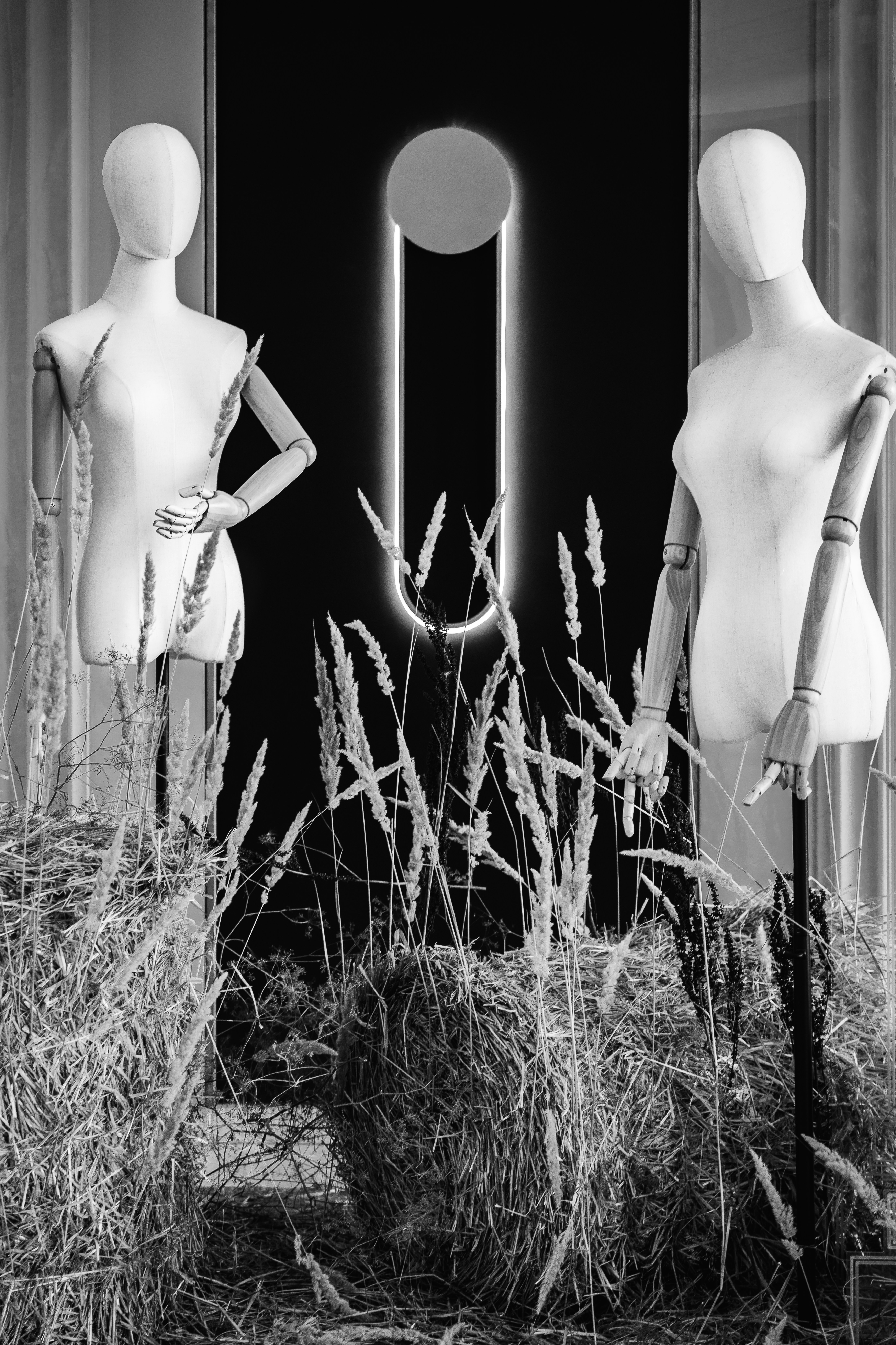 Neon Halo Between Silent Mannequins: A Monochrome Garden Display