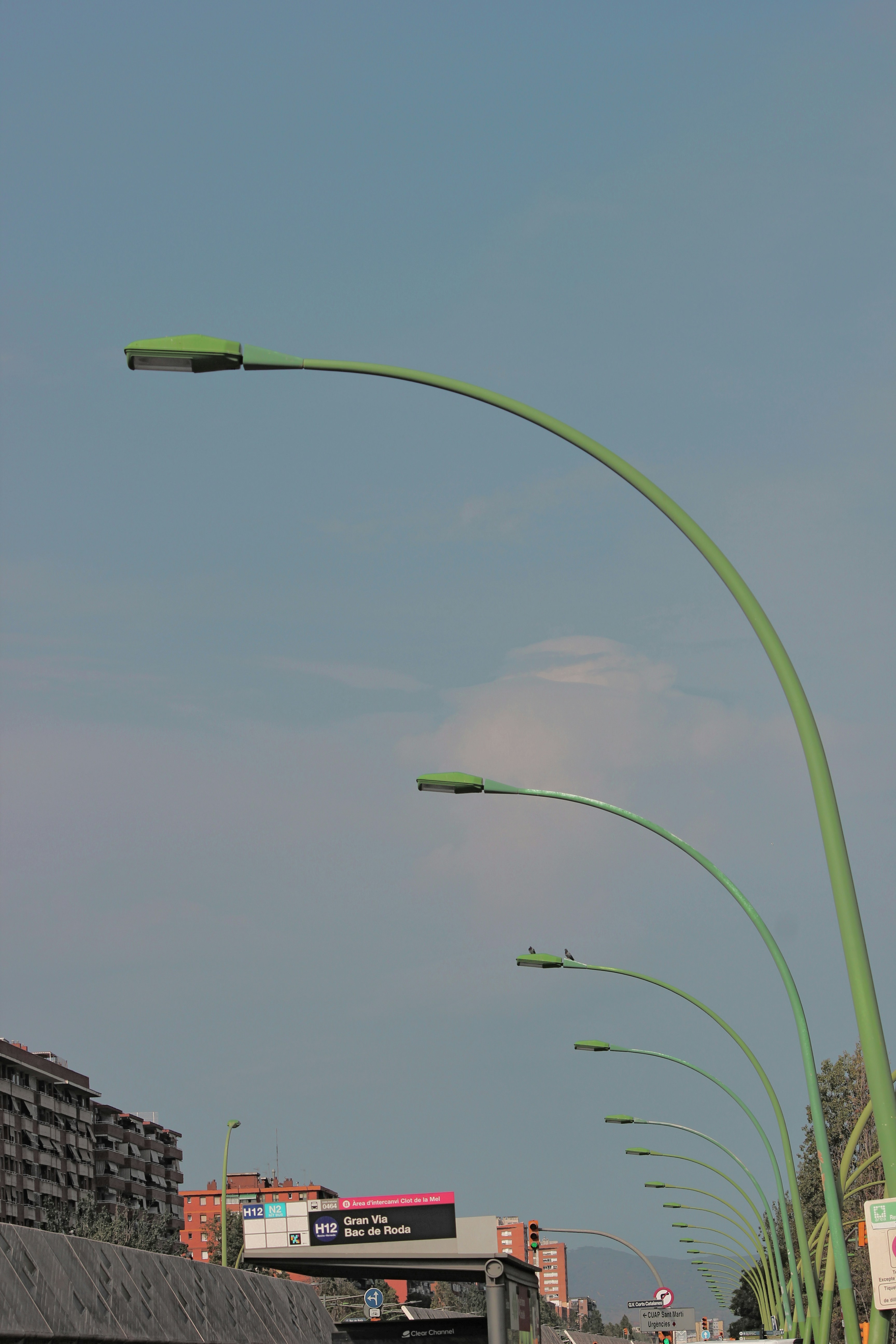 Curved Green Arc Lamps Reaching Toward the Horizon