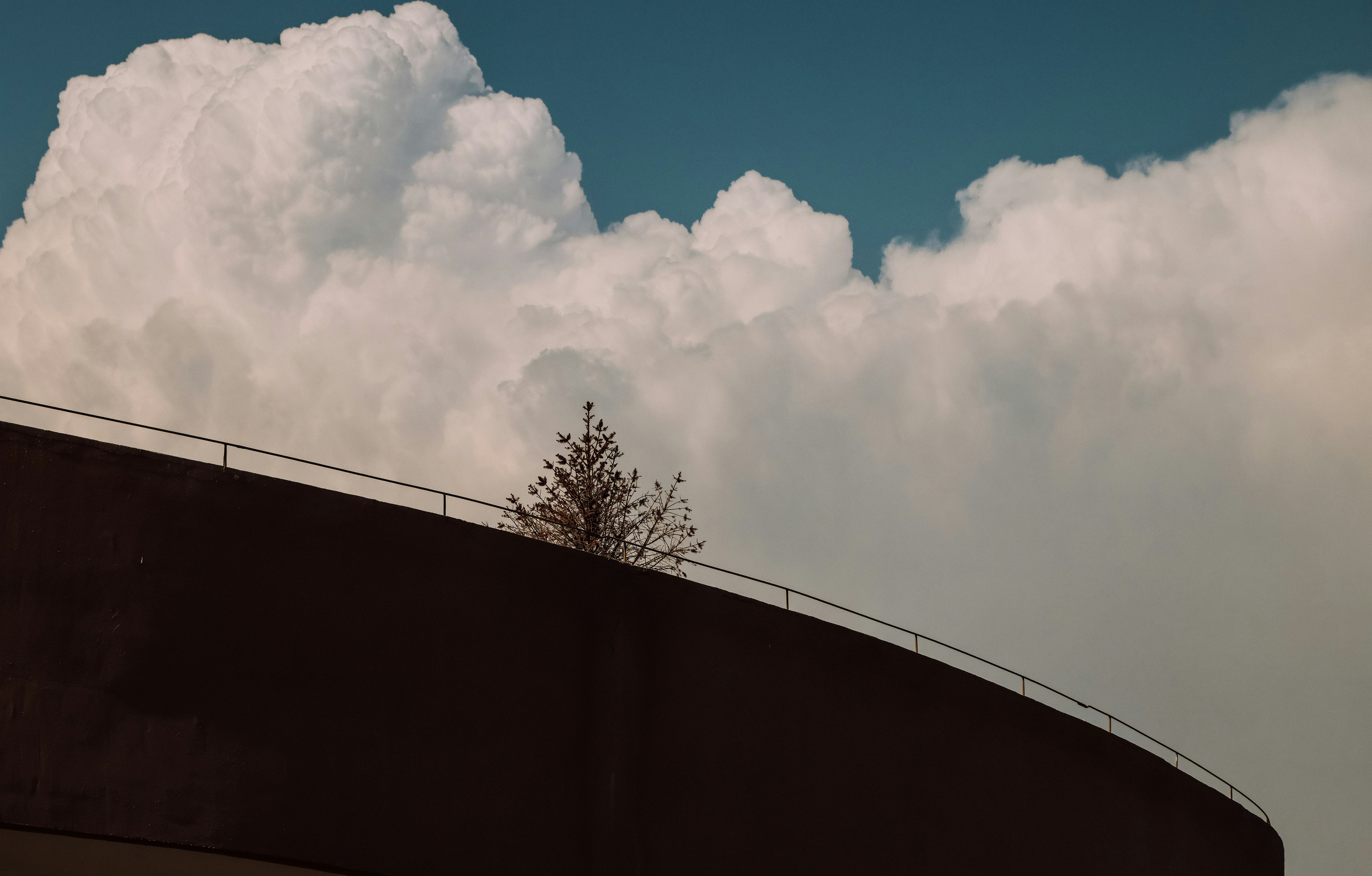 Photo by DL314 Lin with Canon EOS R5