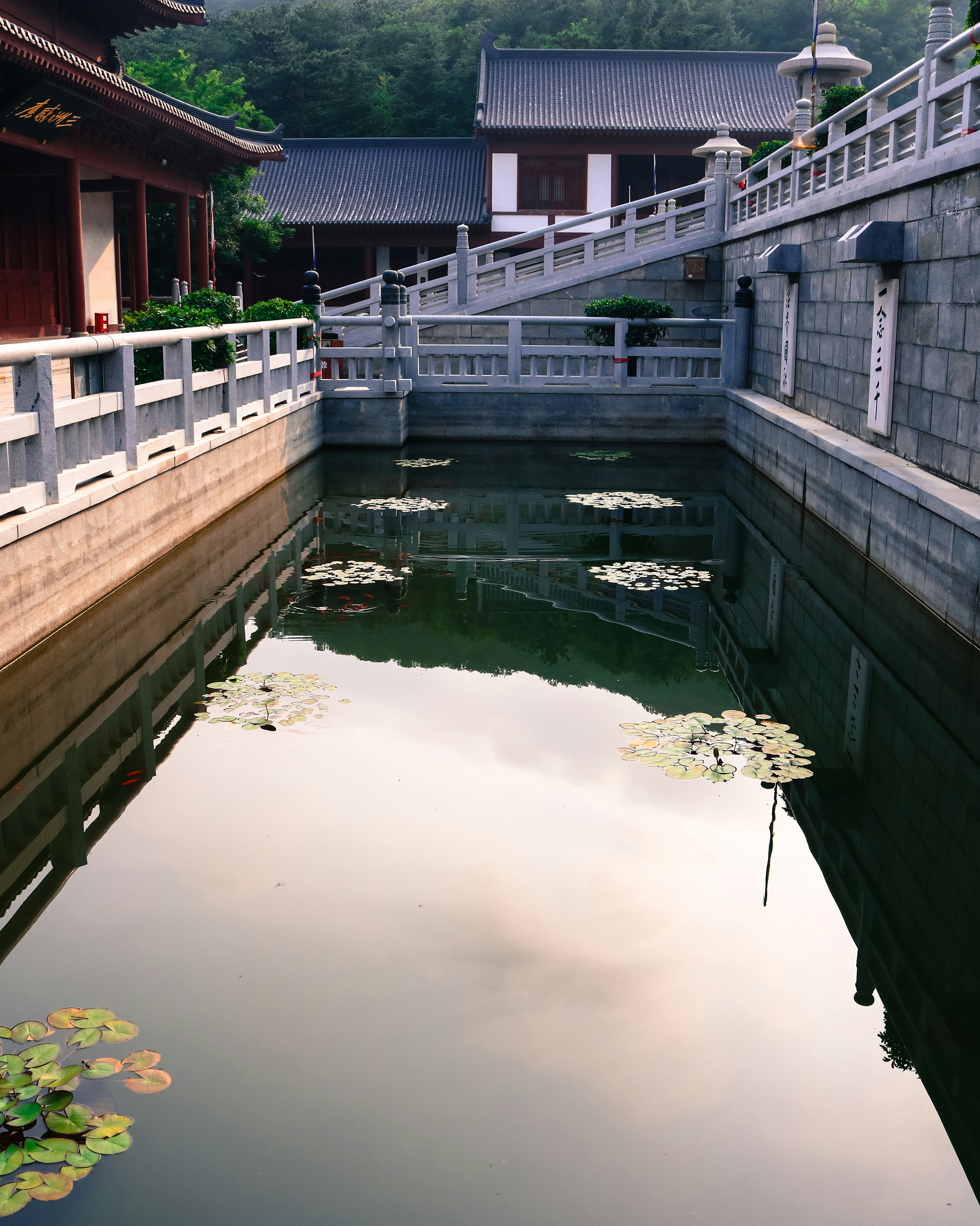 Floating Reflections: Lily-Padded Canal at a Temple Courtyard
