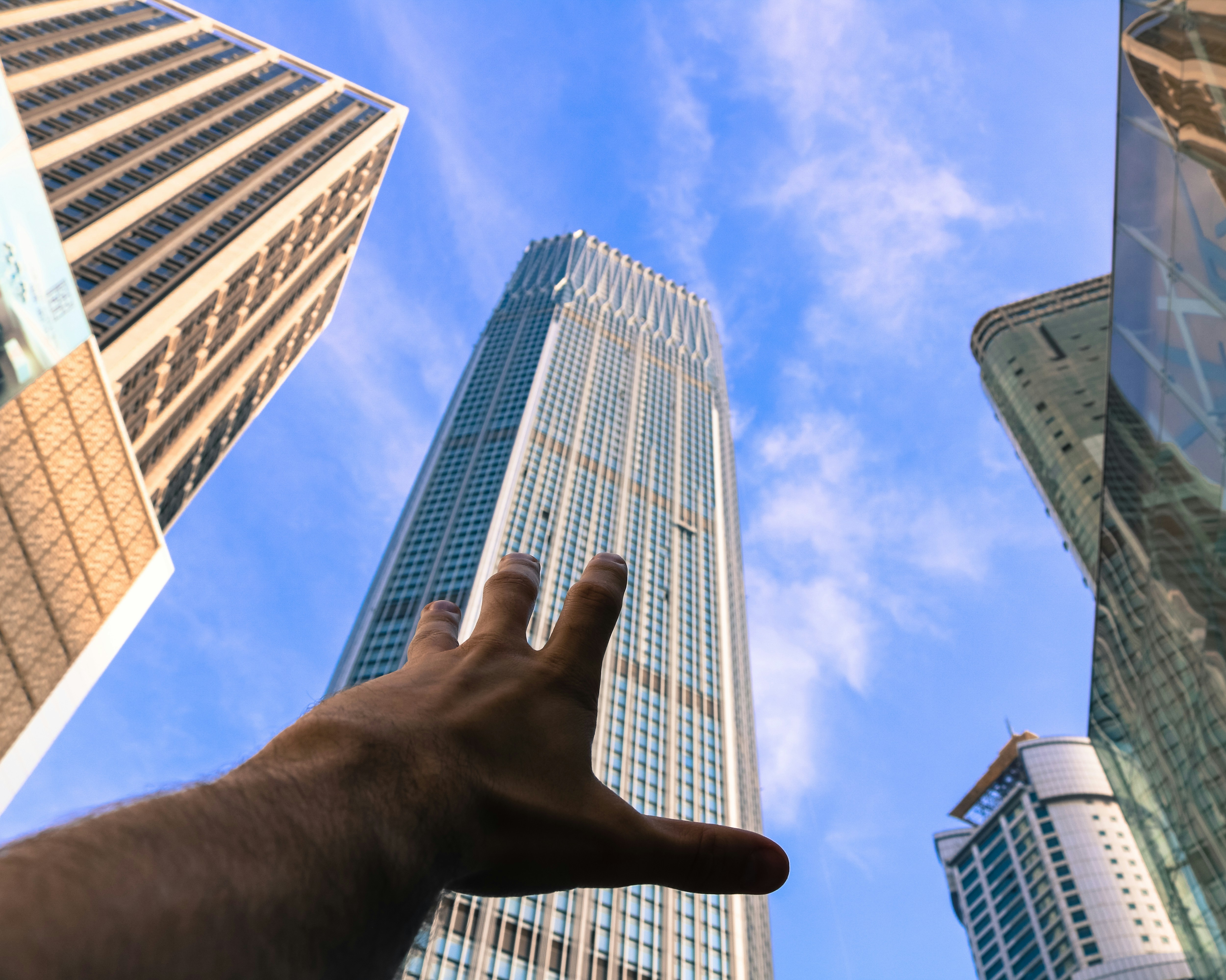 Palm Reaches the Sky: Street-Level Perspective Toward a Glass-Front Skyline