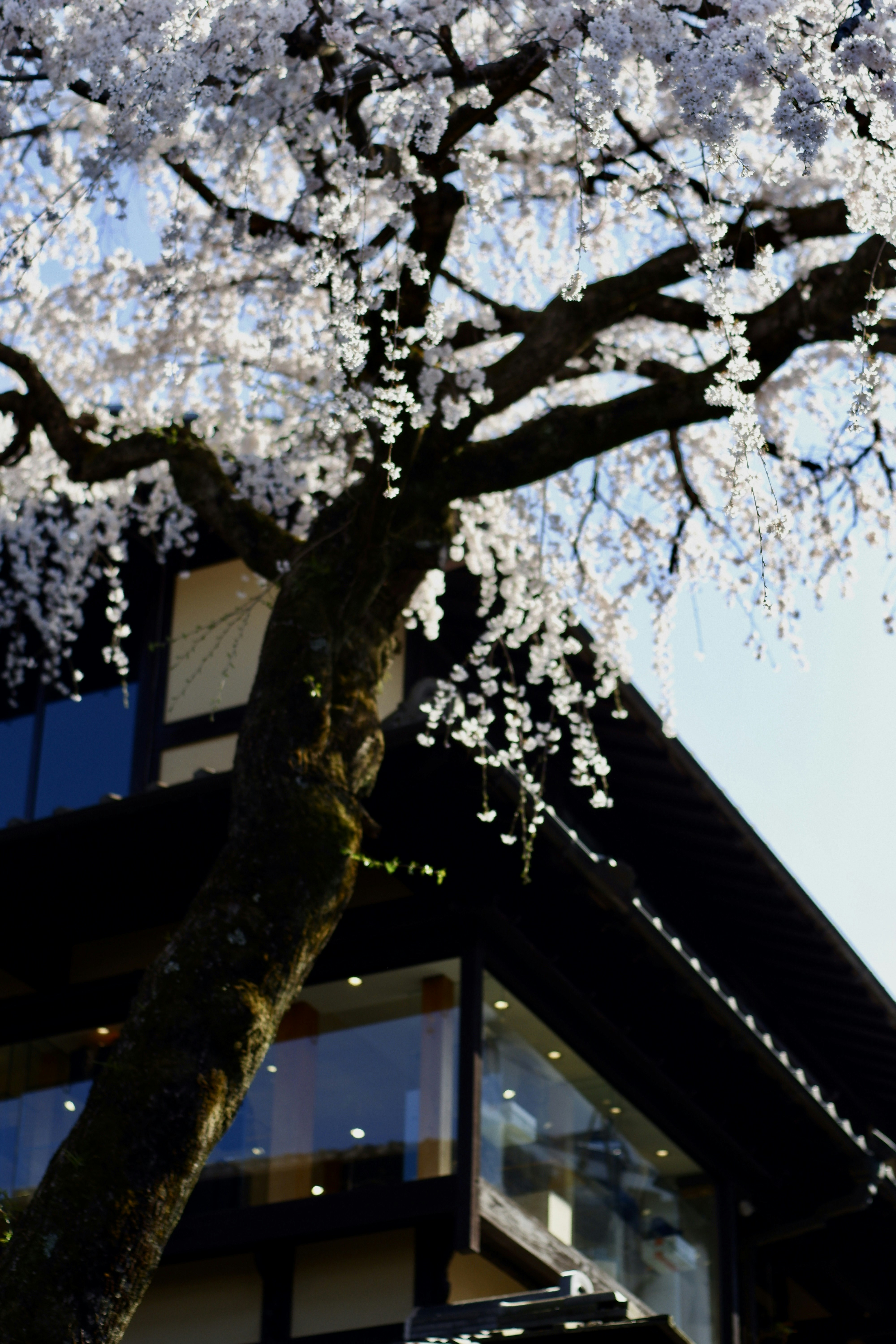 Photo by Tomasz Brengos with Fujifilm X-T100