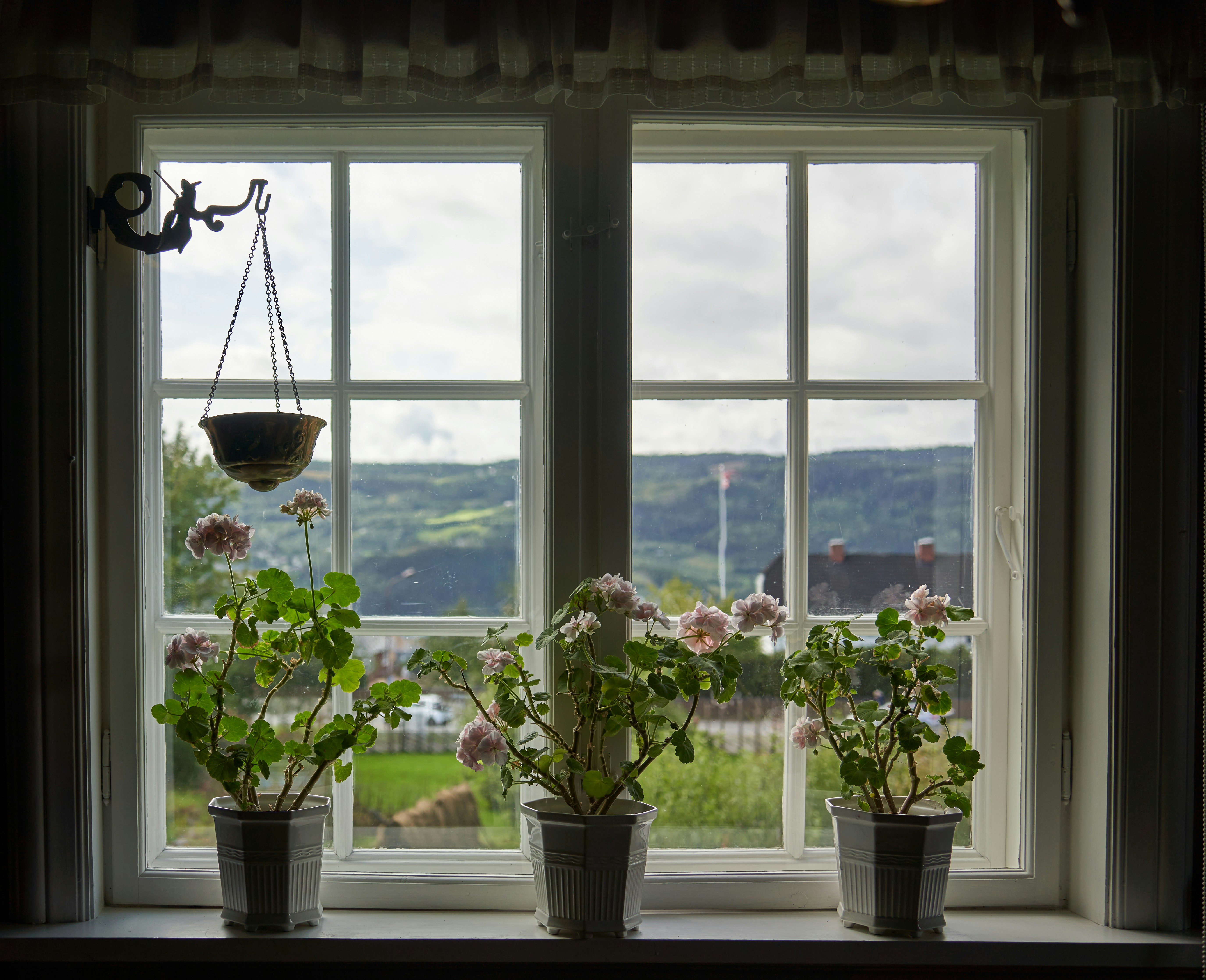 Vintage White Double-Pane Window Framed with Geraniums, Offering a Picturesque View of the Countryside