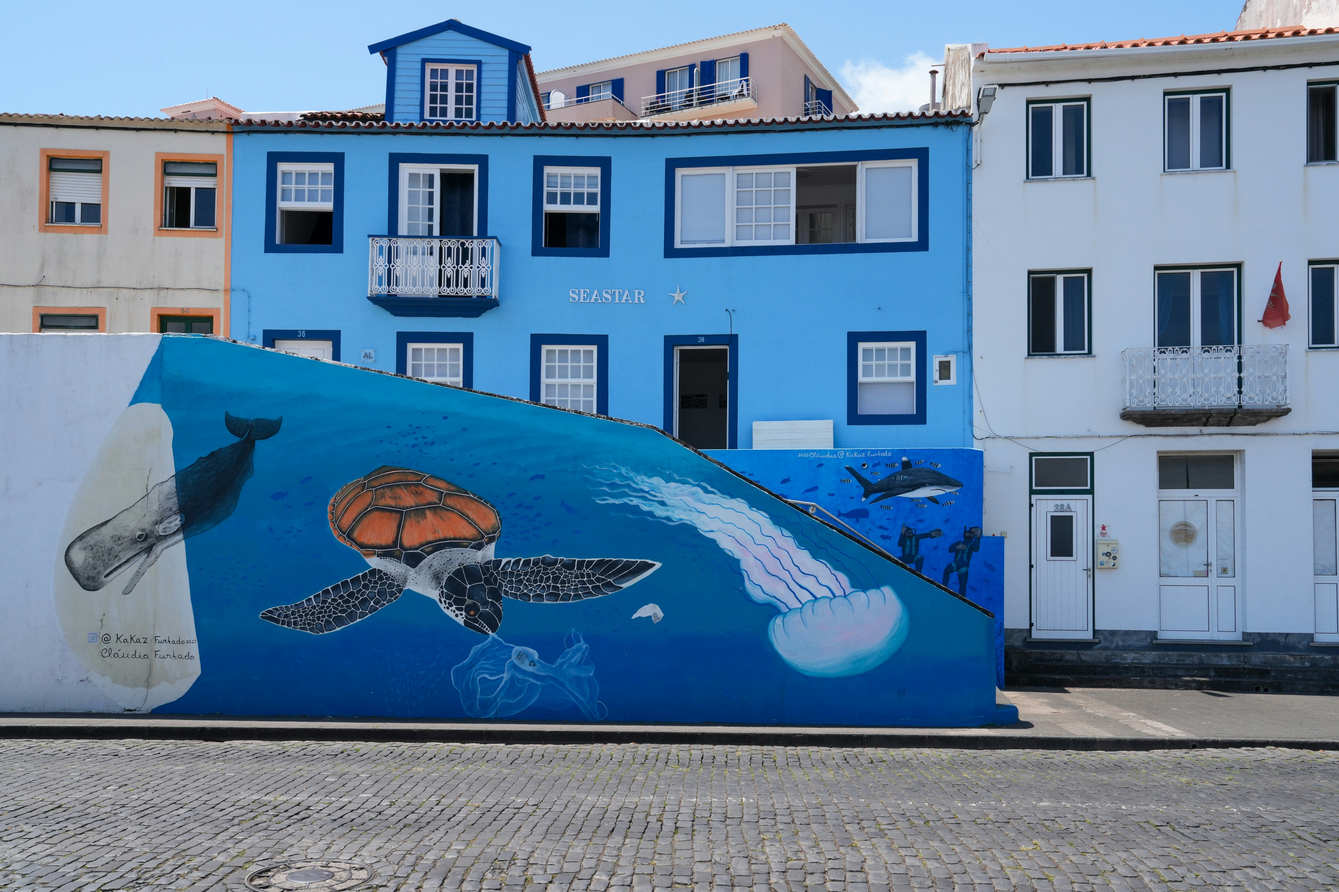 Turtle-Tide on a Bold Blue Street Wall