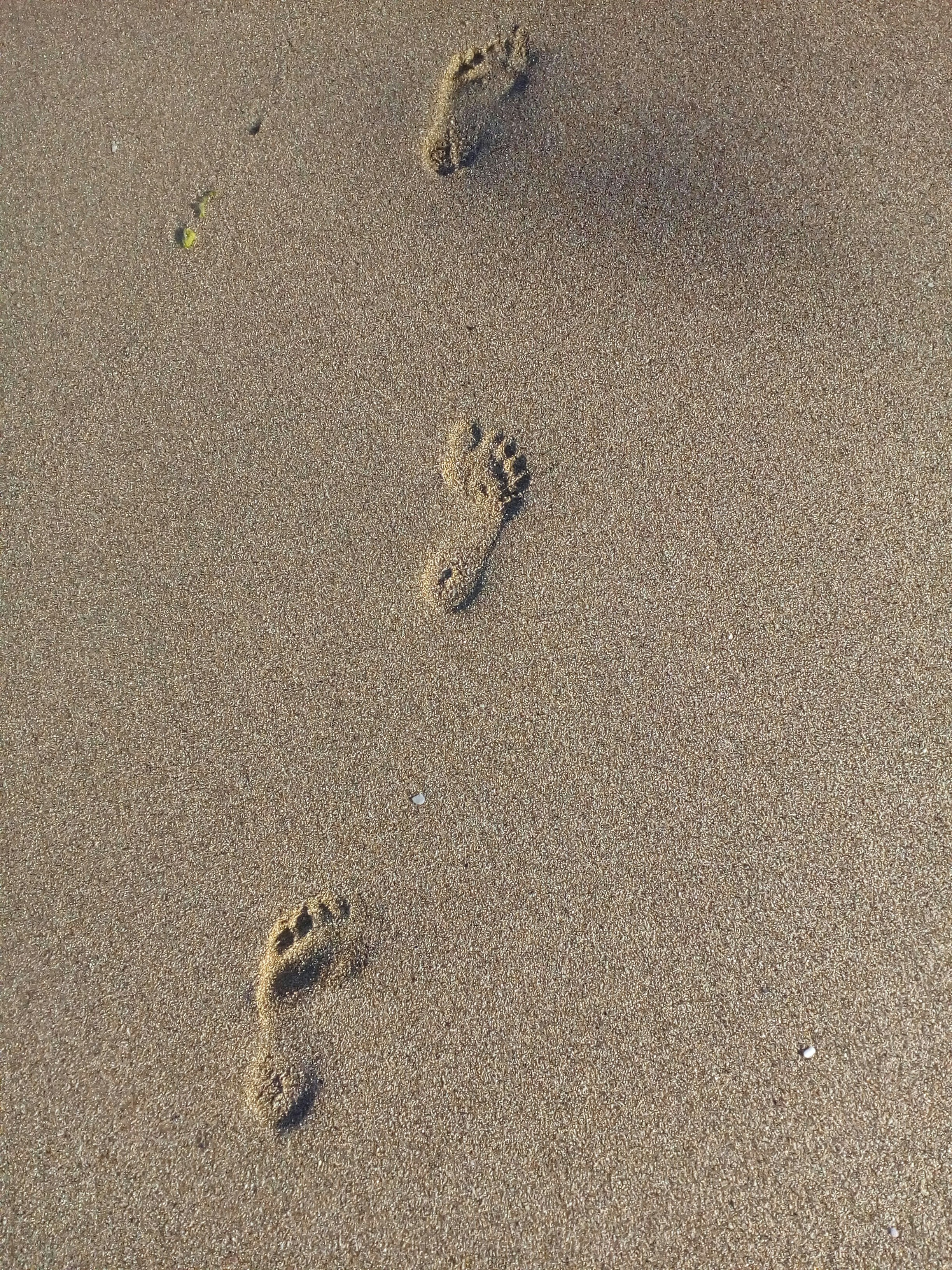 Footsteps Pictures | Download Free Images on Unsplash