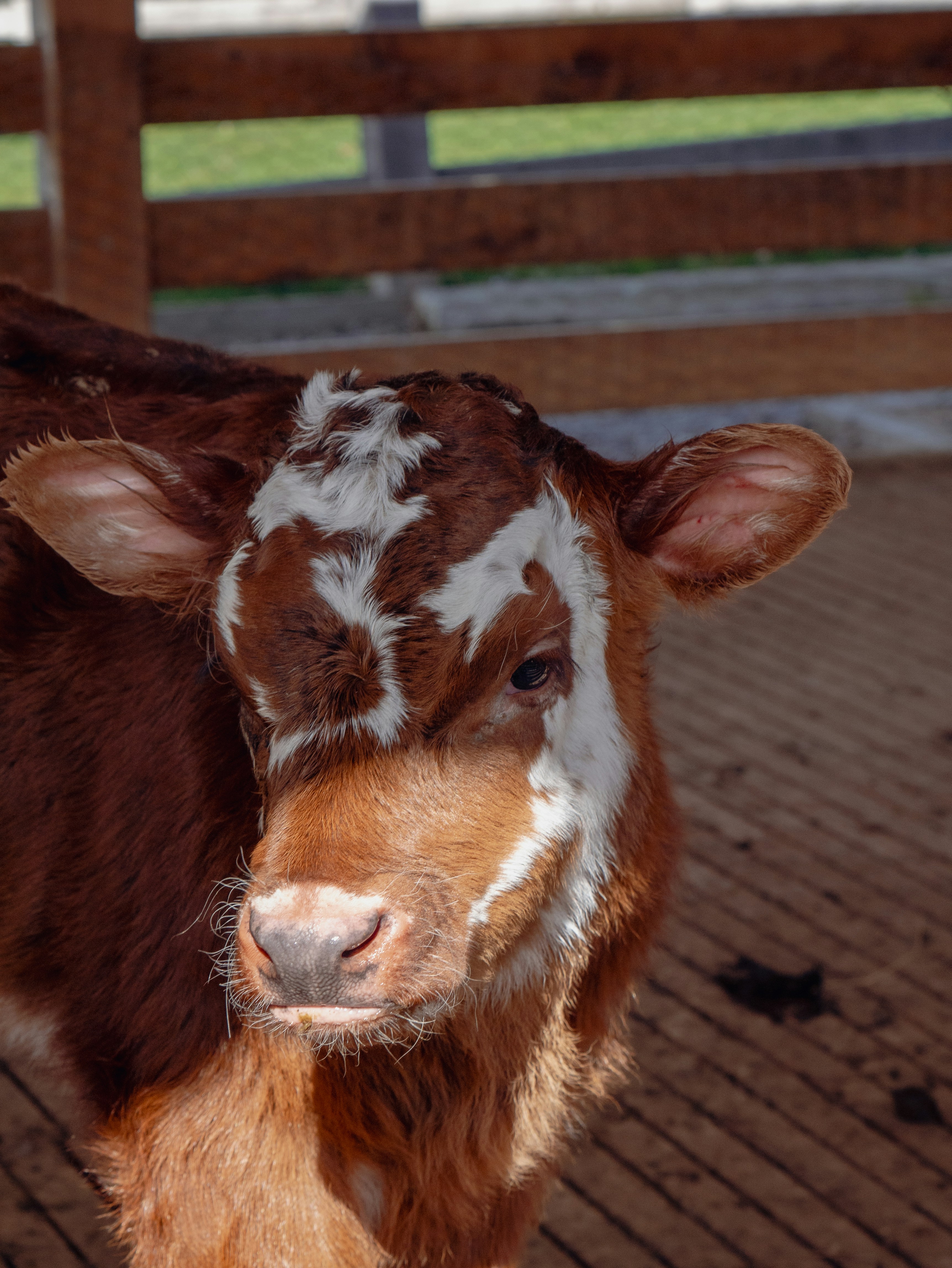 Photo by Katelyn G with Panasonic Lumix G7