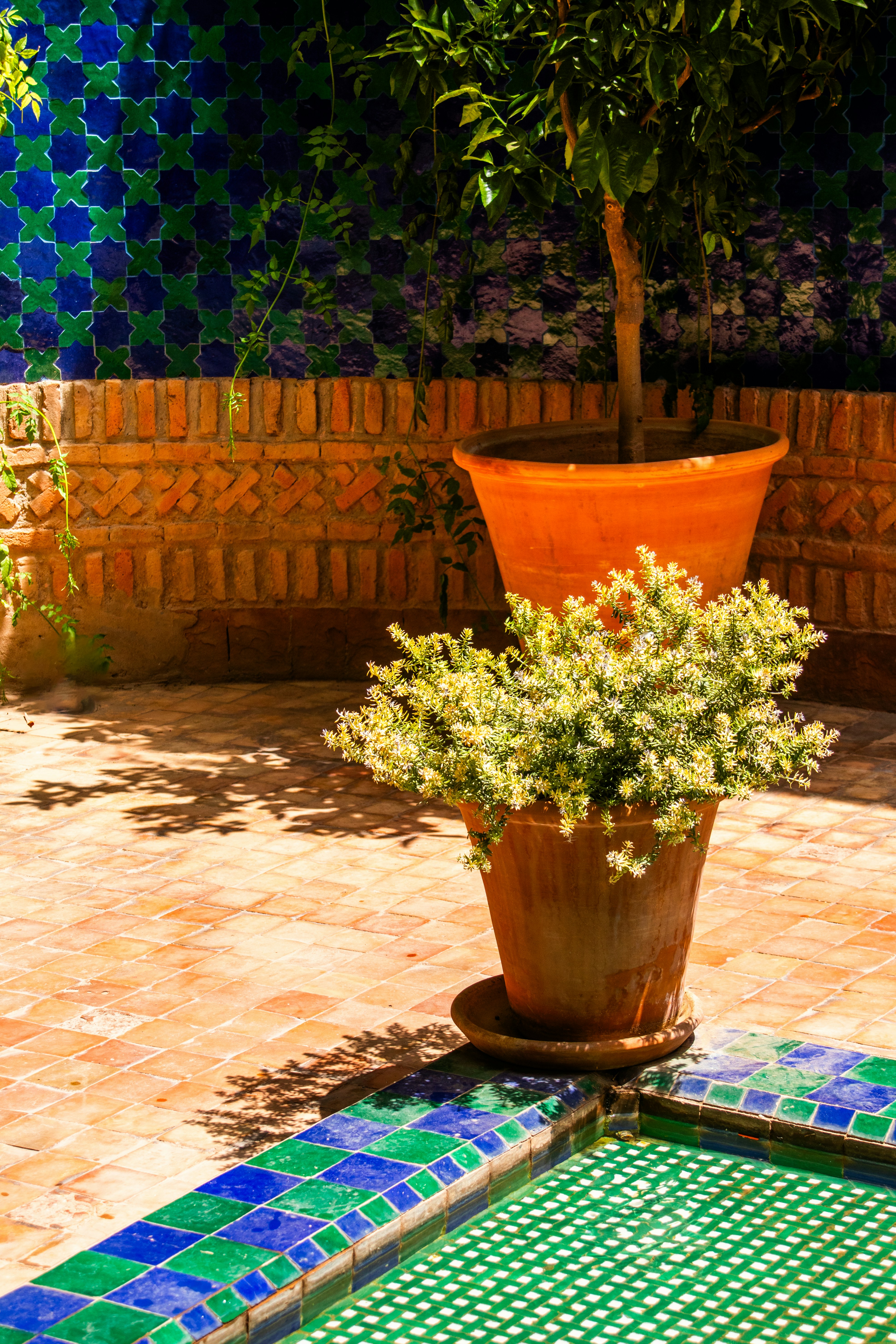 Photo by Jimmy Woo with Canon EOS M50