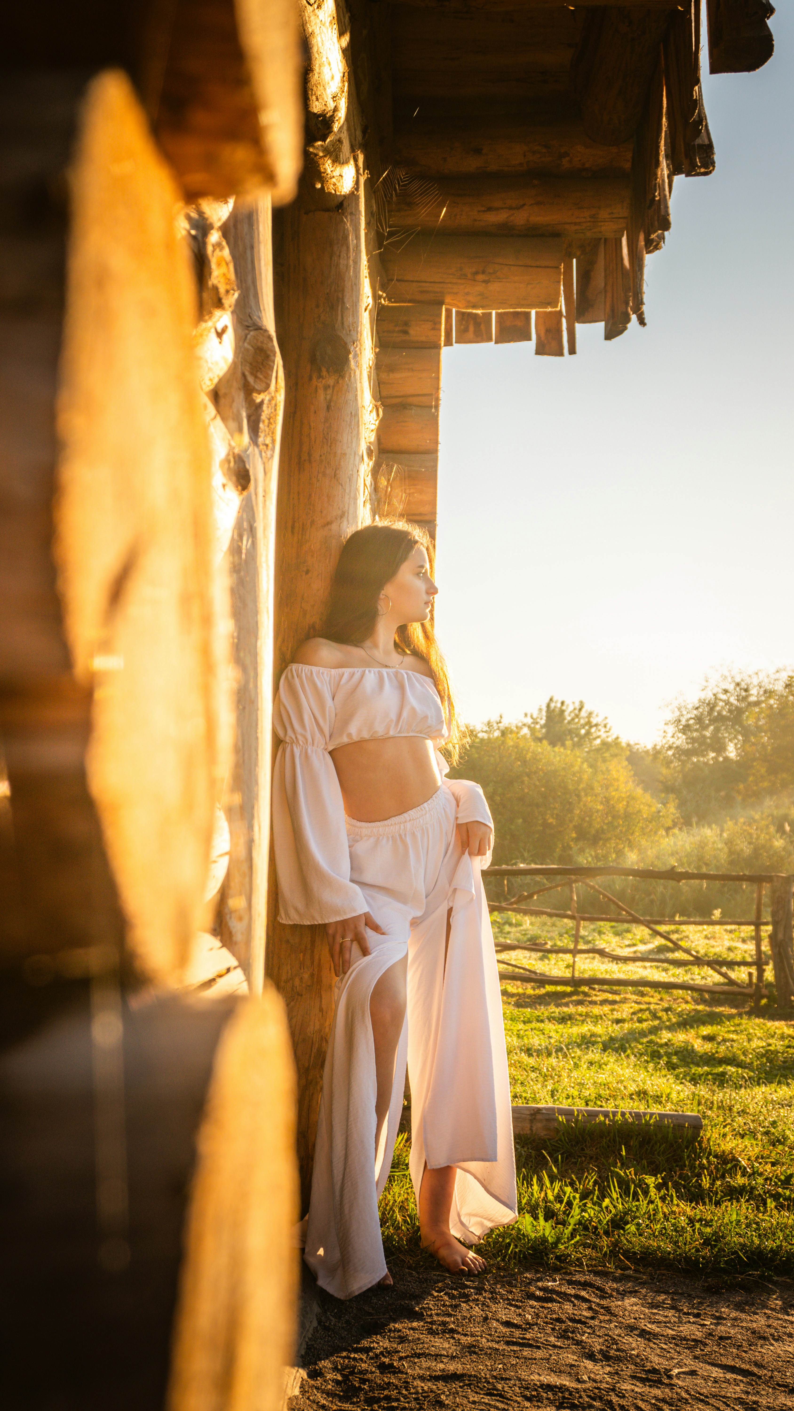 Golden Hour Reverie by the Timber Wall