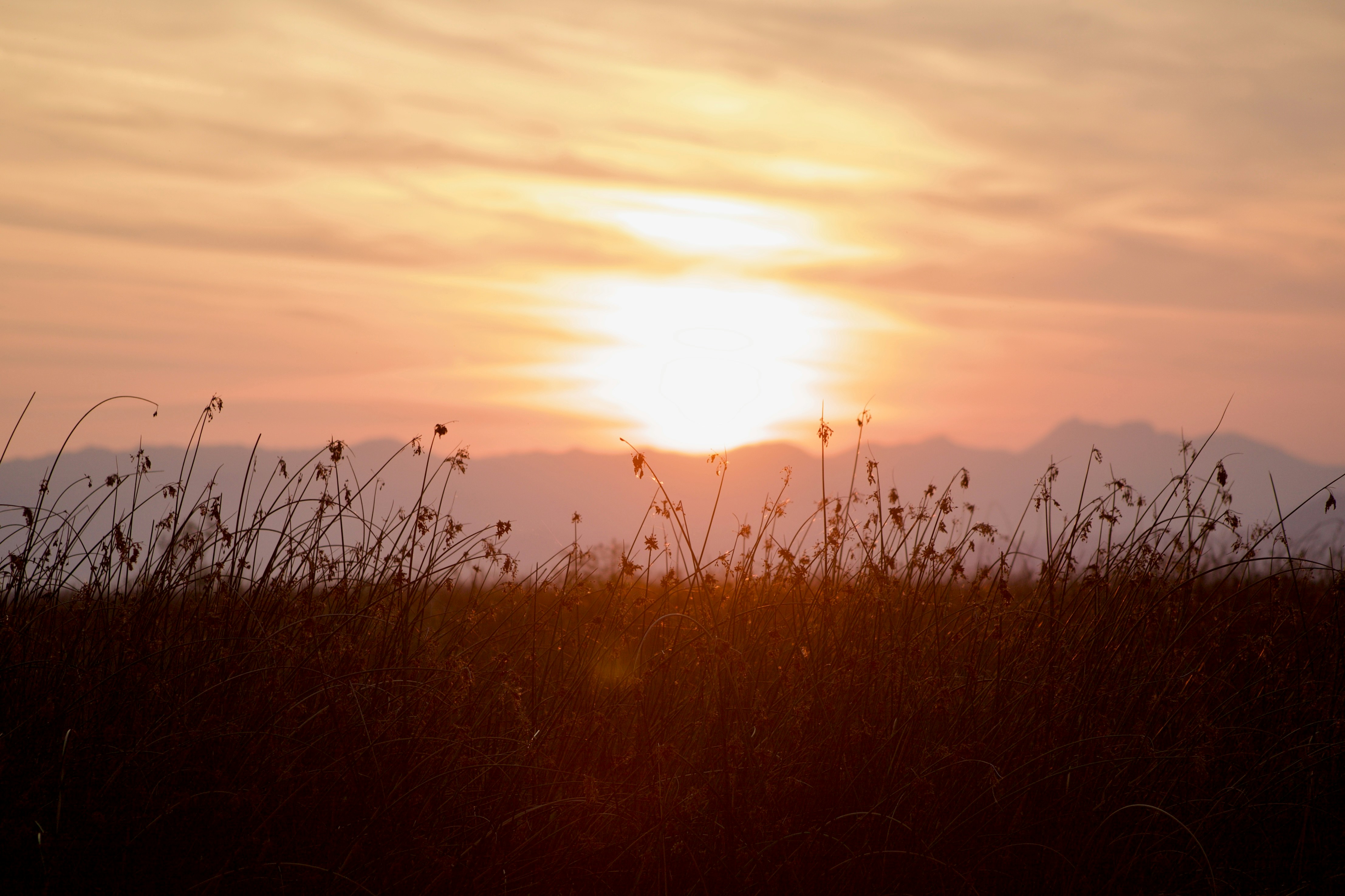 Photo by Andris Gangis with Canon EOS 5D Mark II