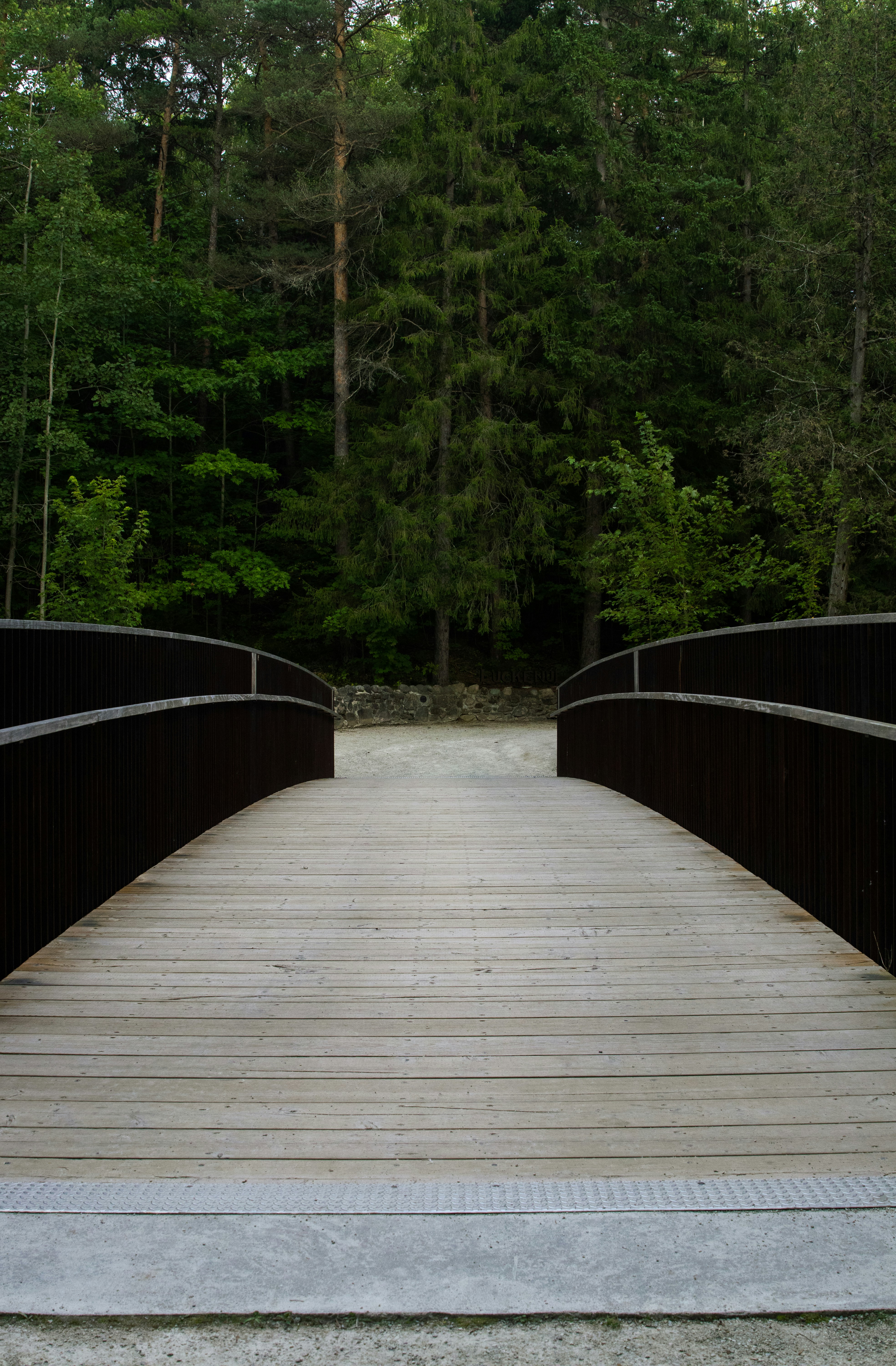 Bridge over a river in the woods.