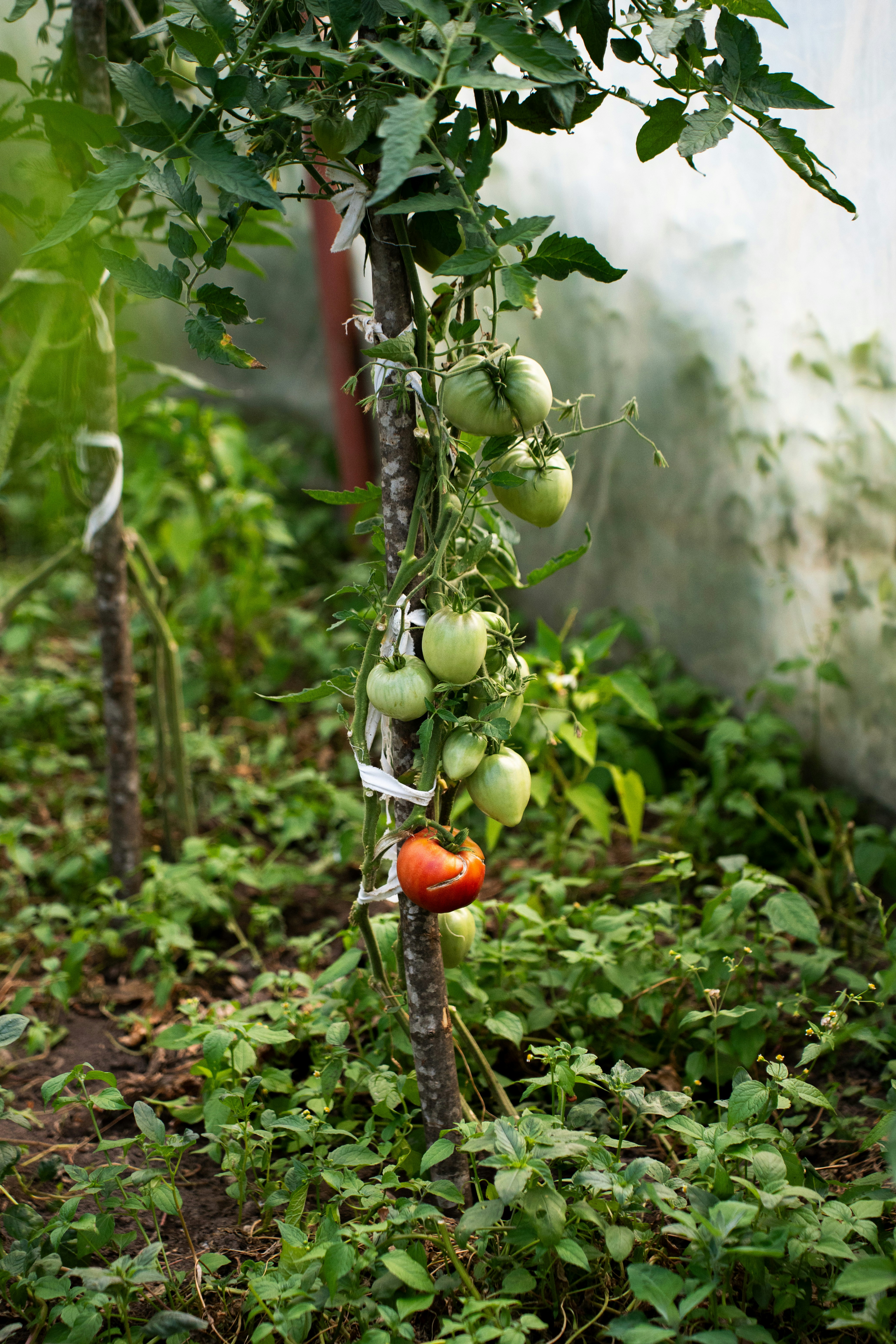 Jacob Stabler (@jacob_stabler) | Unsplash Photo Community