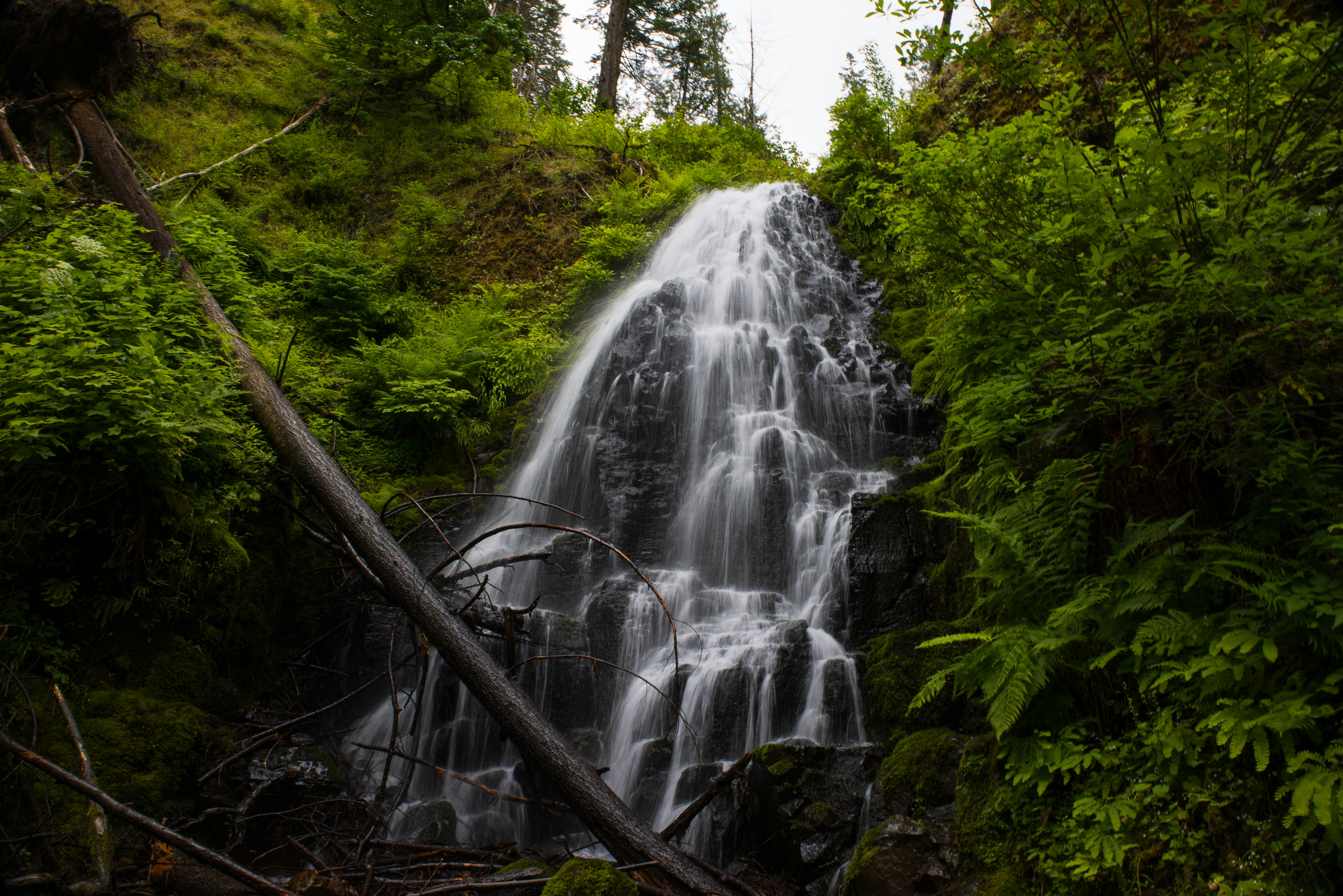 A large waterfall in the middle of a forest photo – Free Forest Image ...