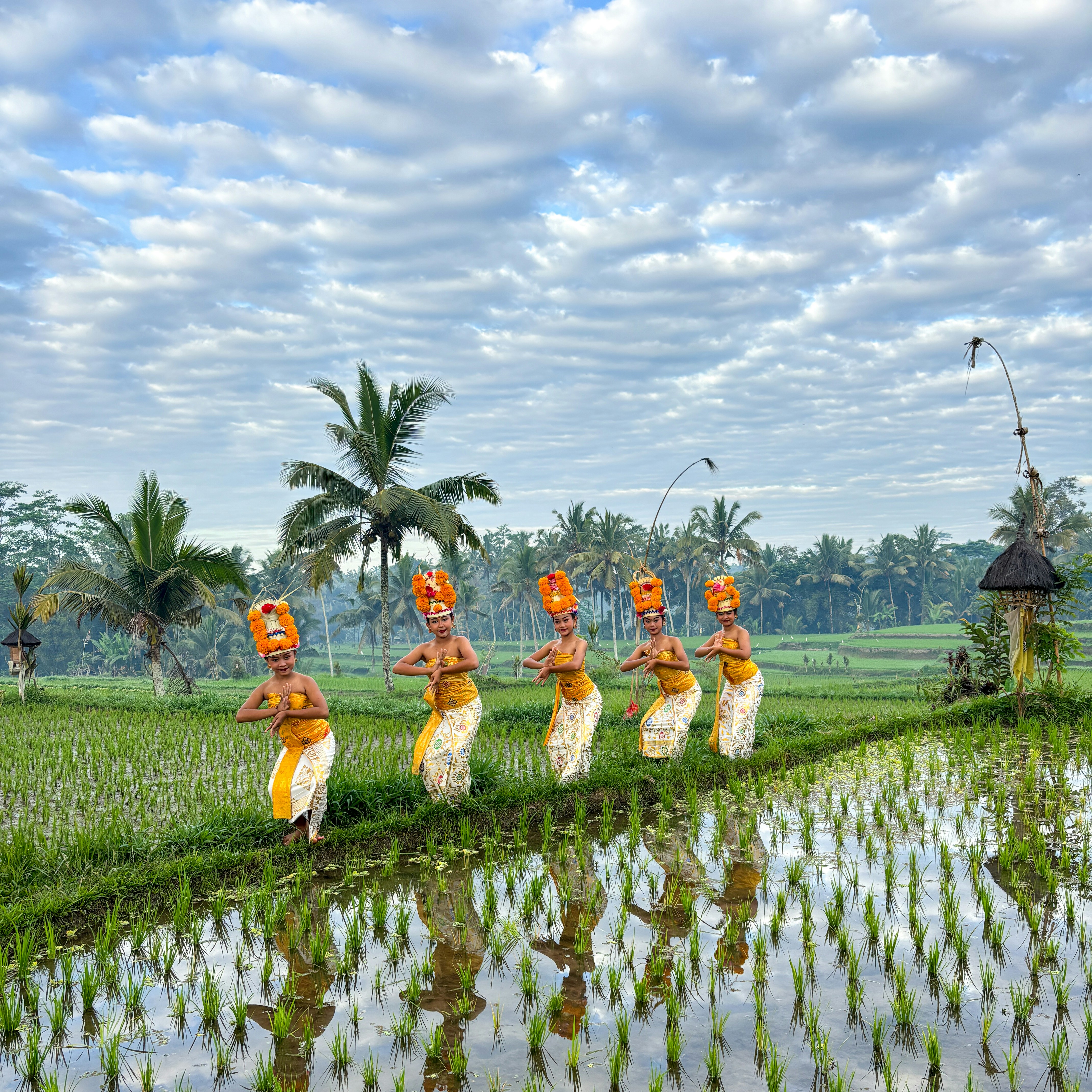 Nicole Mckenzie (@chickiedo) | Komunitas Foto Unsplash