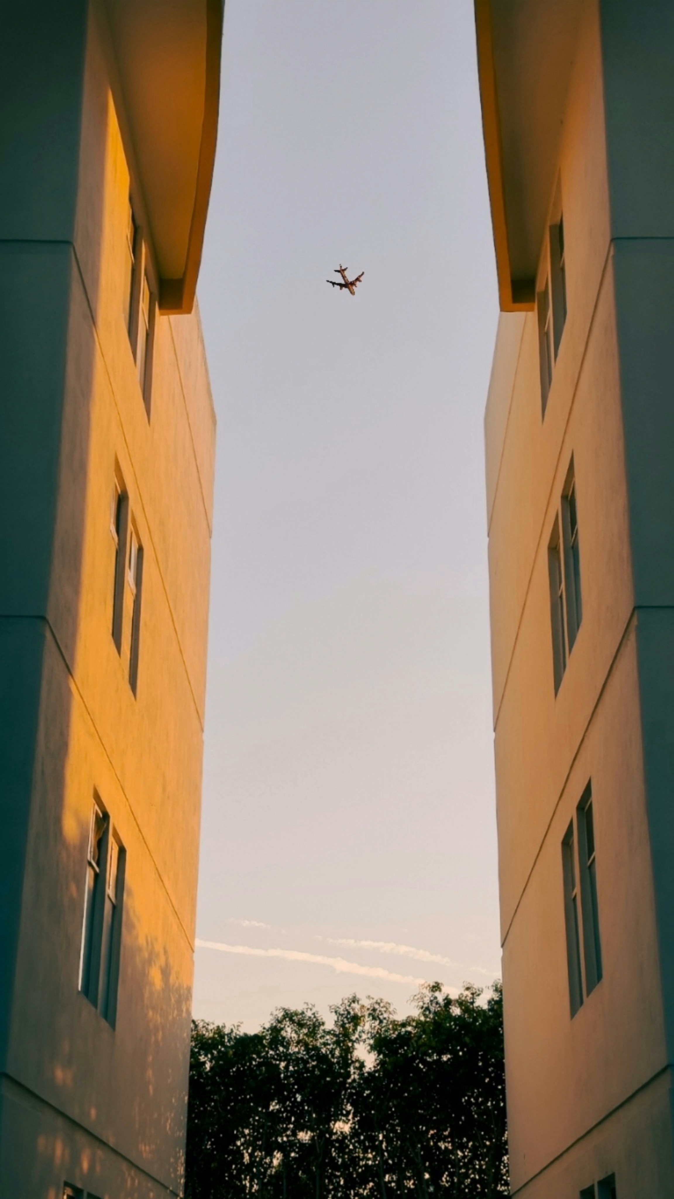An airplane is flying through the air between two buildings photo ...