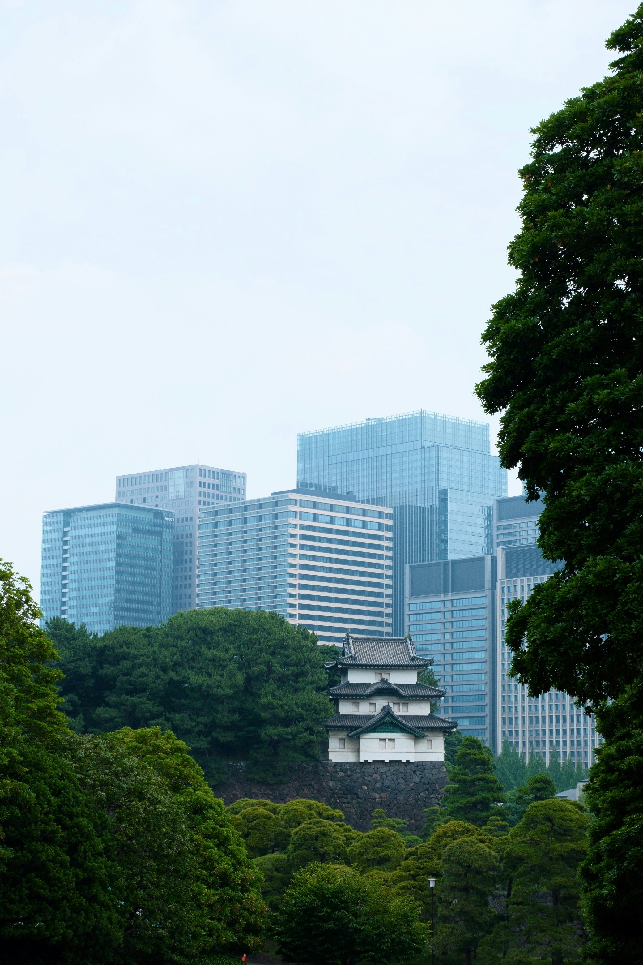 Photo by Suphattra Toemkrathok with Fujifilm X-S20