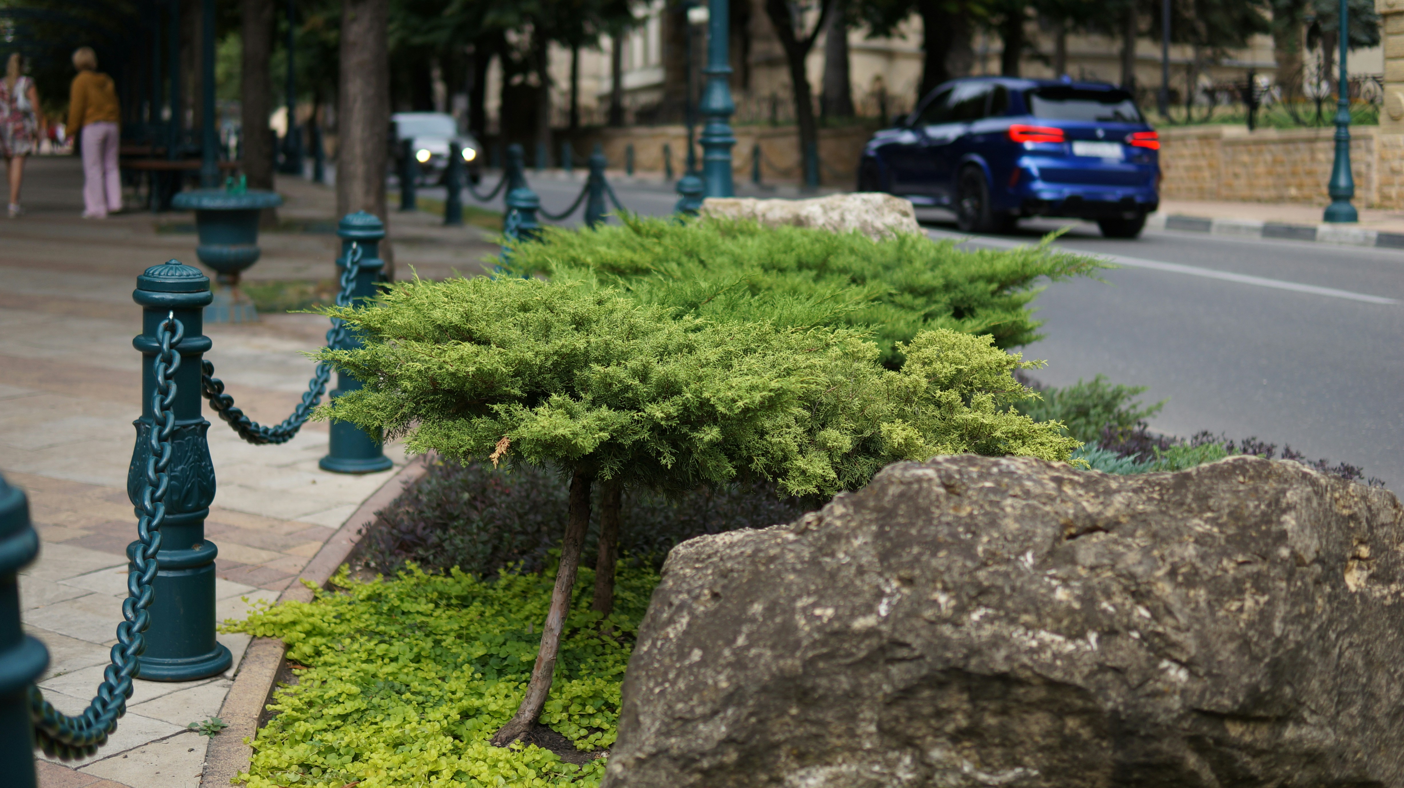 Urban Tranquility: A Moment of Green Amidst the City