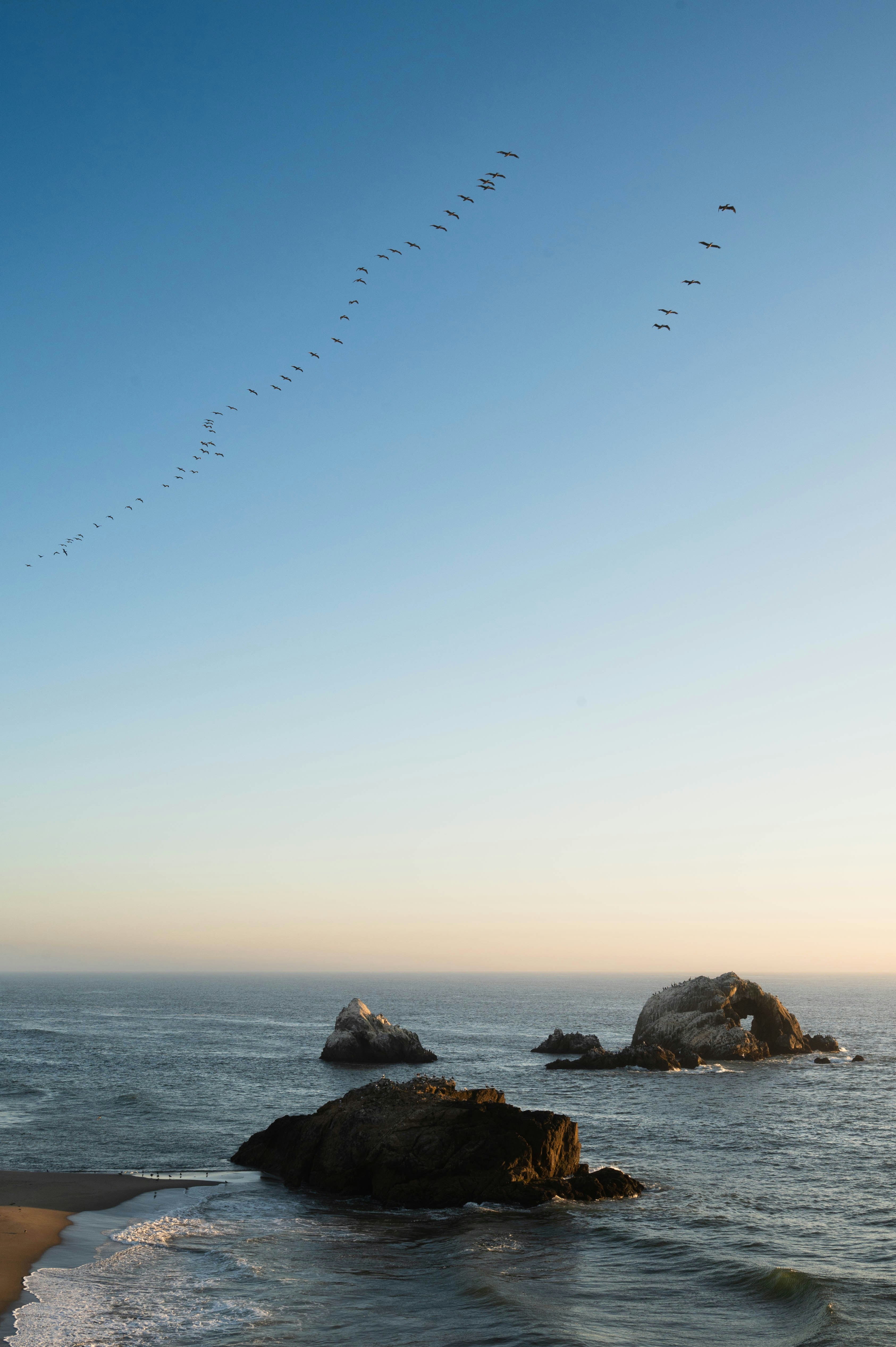 Dawn Arc Over the Rocks: A Flock Tracing the Quiet Horizon