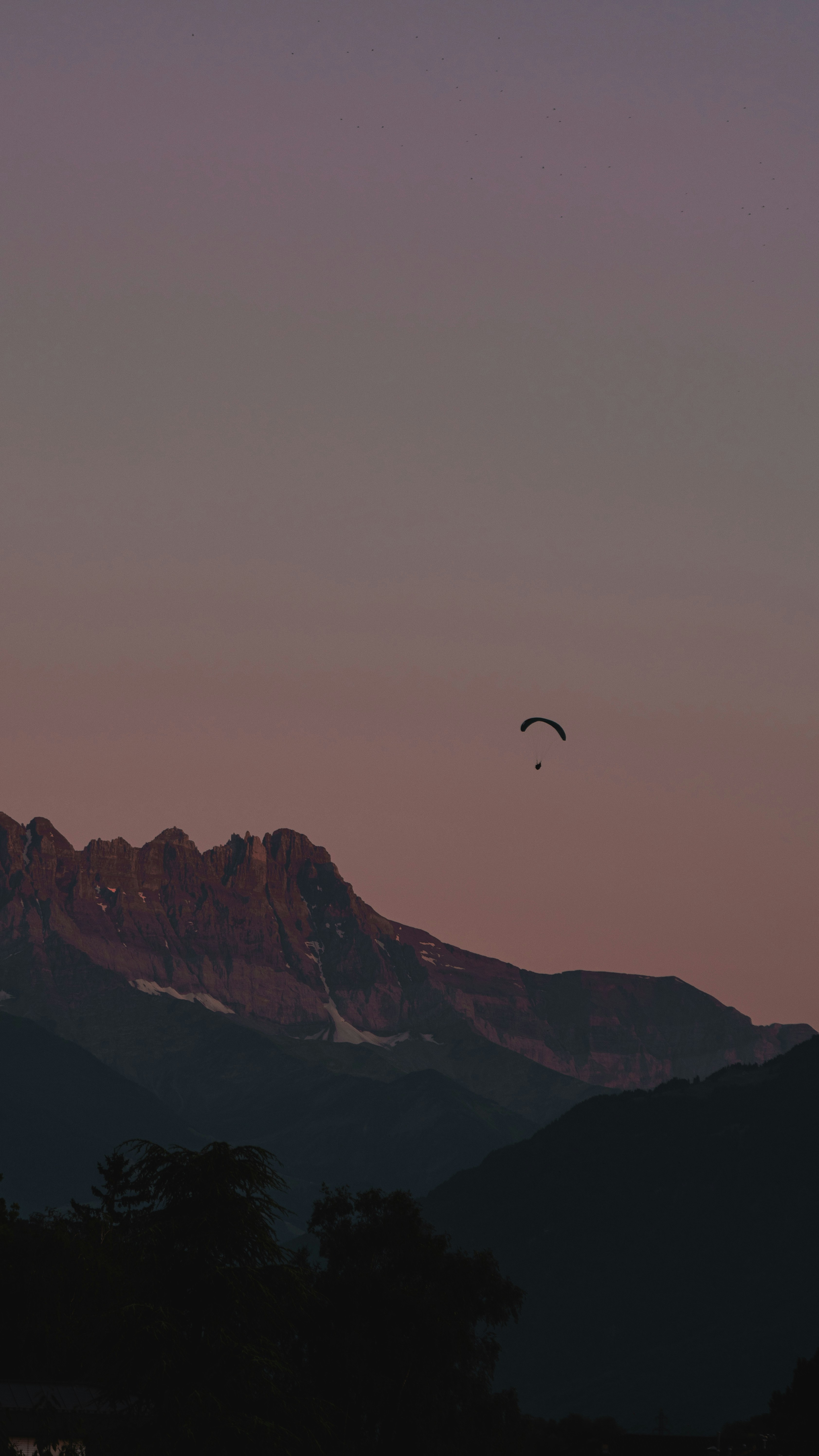 A bird flying in the sky over a mountain range photo – Free Animal ...
