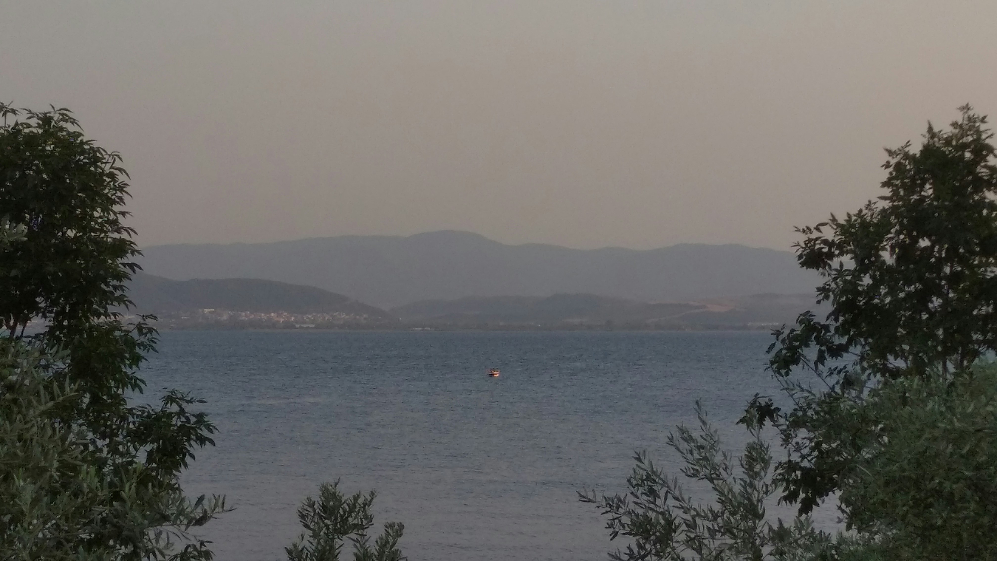 Calm sea with a hazy horizon and a small buoy centered on the water, framed by foreground tree silhouettes.