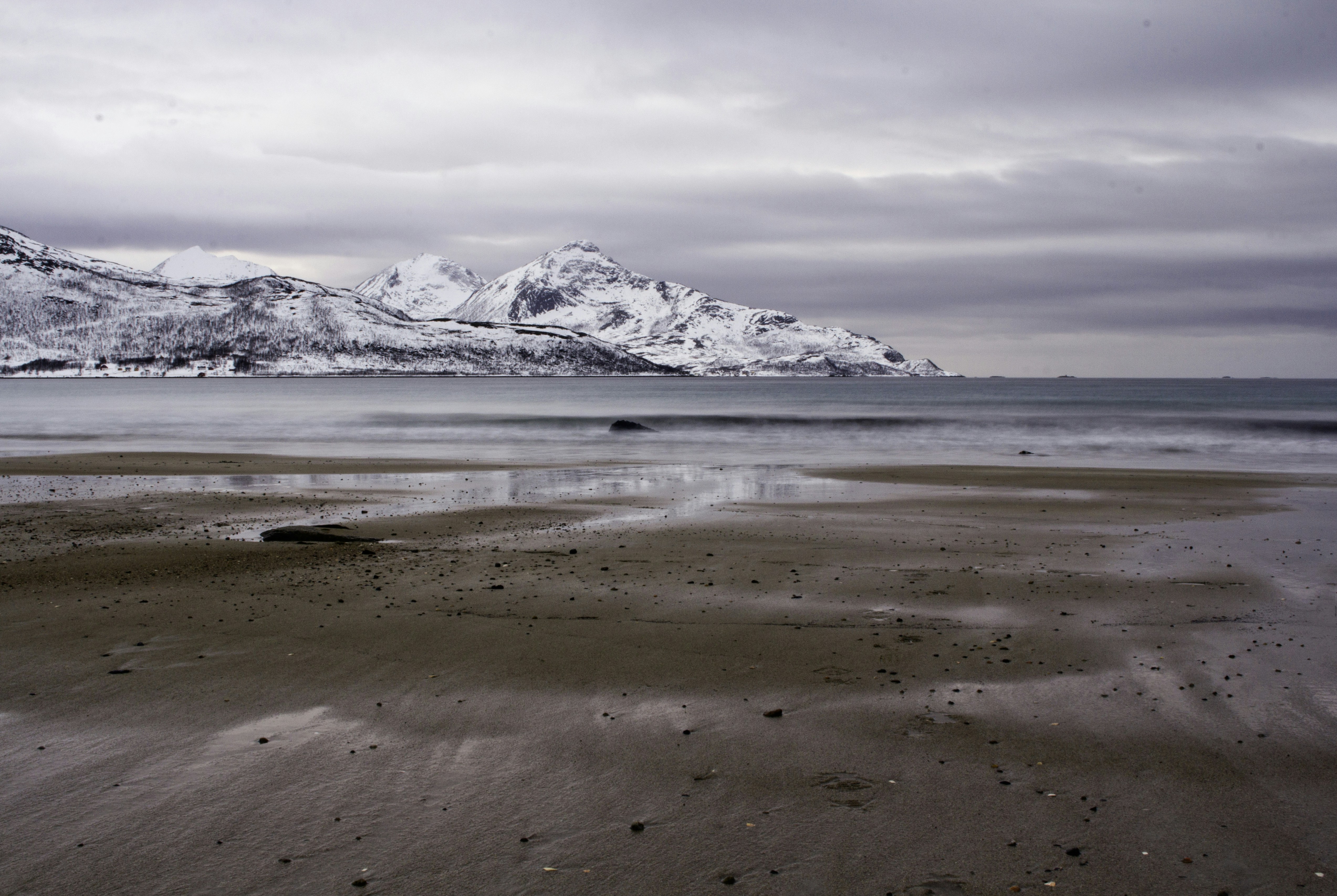 Snowbound Peninsula Beneath a Quiet Slate Sky