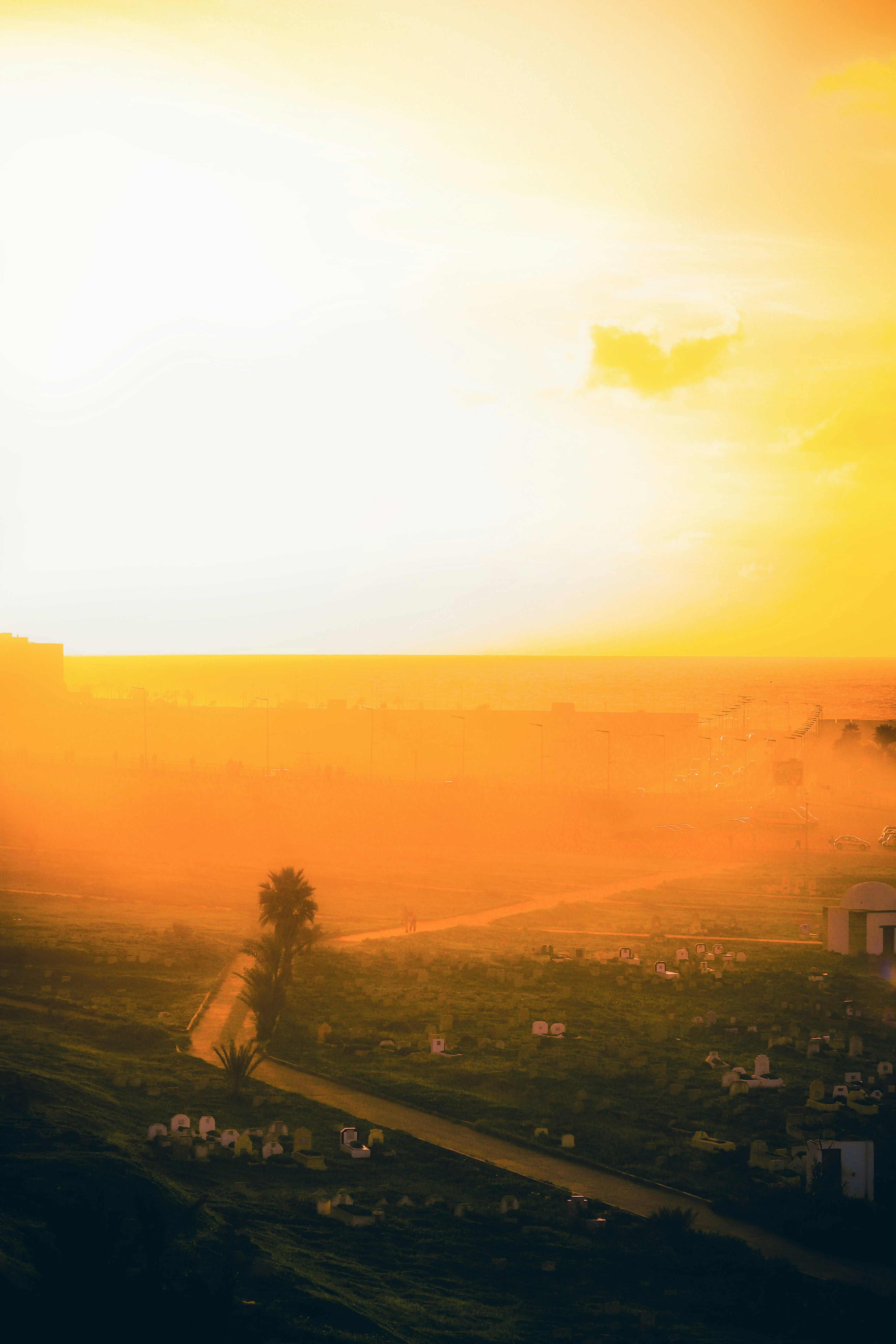 Sunflare Over a Palm-Fringed Plain at the Blazing Horizon