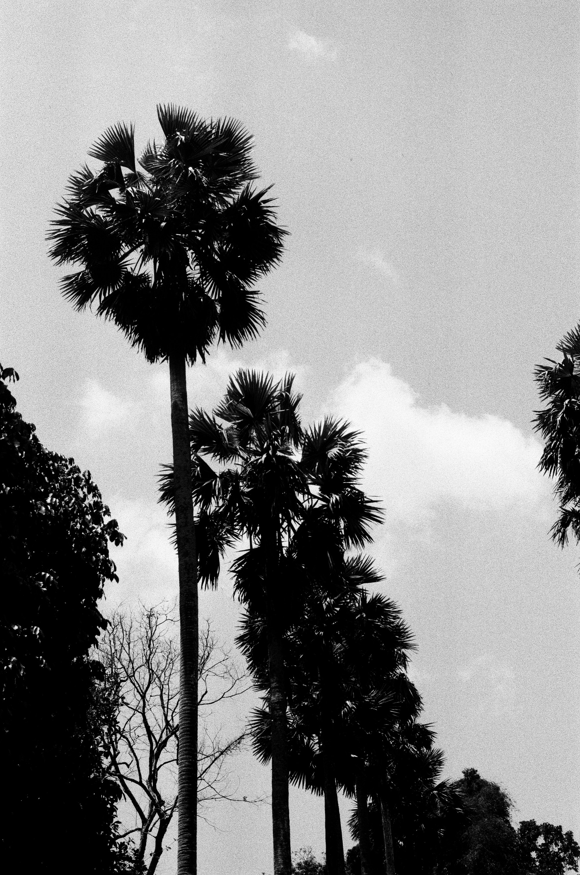 Darya Rybak (@dashaatkinson) | Unsplashフォトコミュニティ