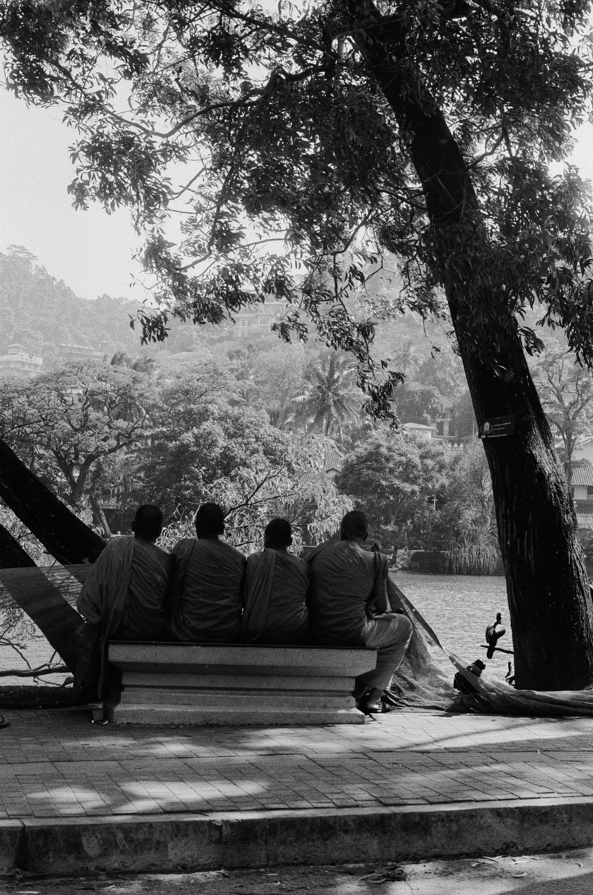 Darya Rybak (@dashaatkinson) | Unsplashフォトコミュニティ