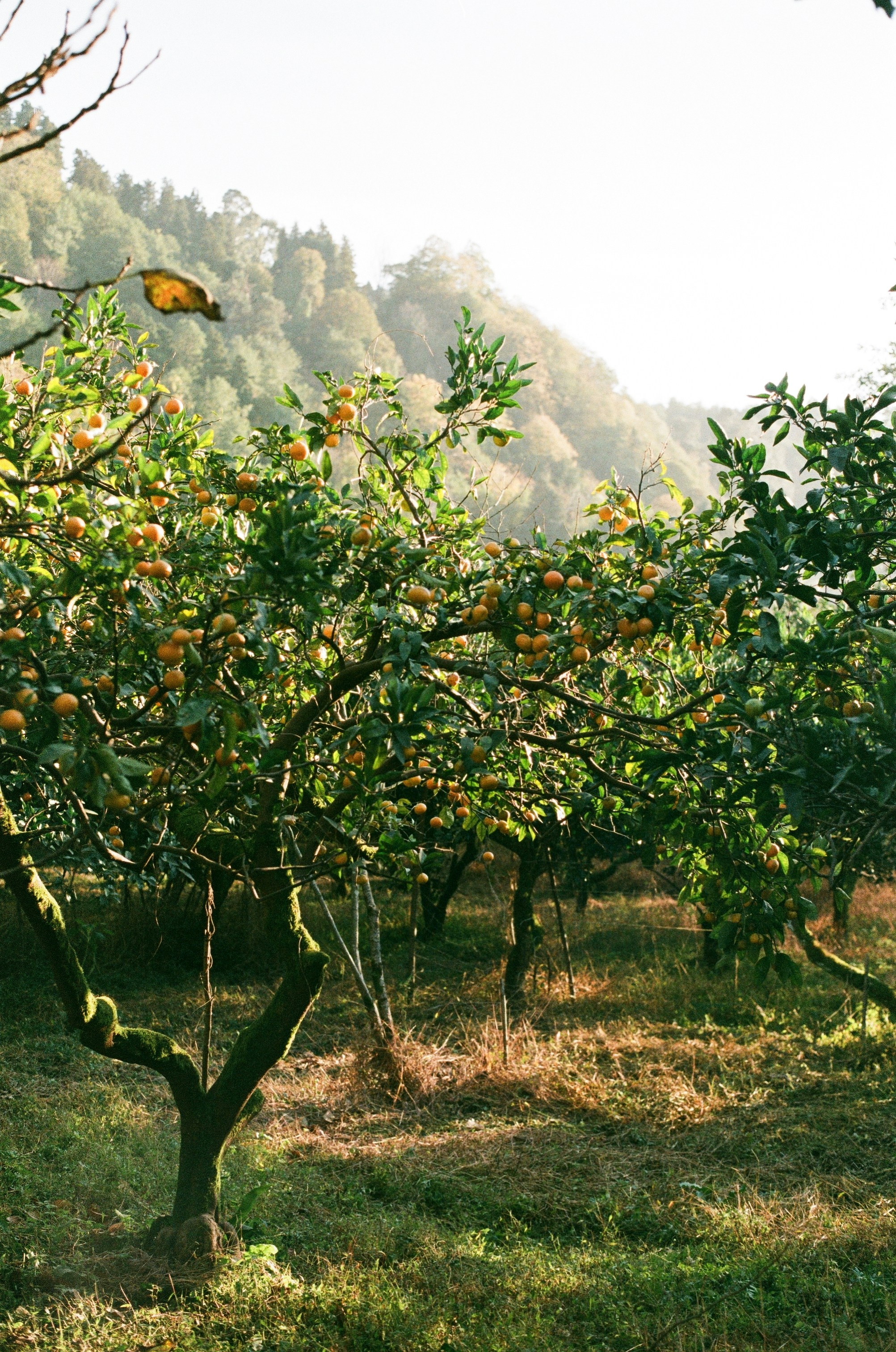 Darya Rybak (@dashaatkinson) | Unsplashフォトコミュニティ