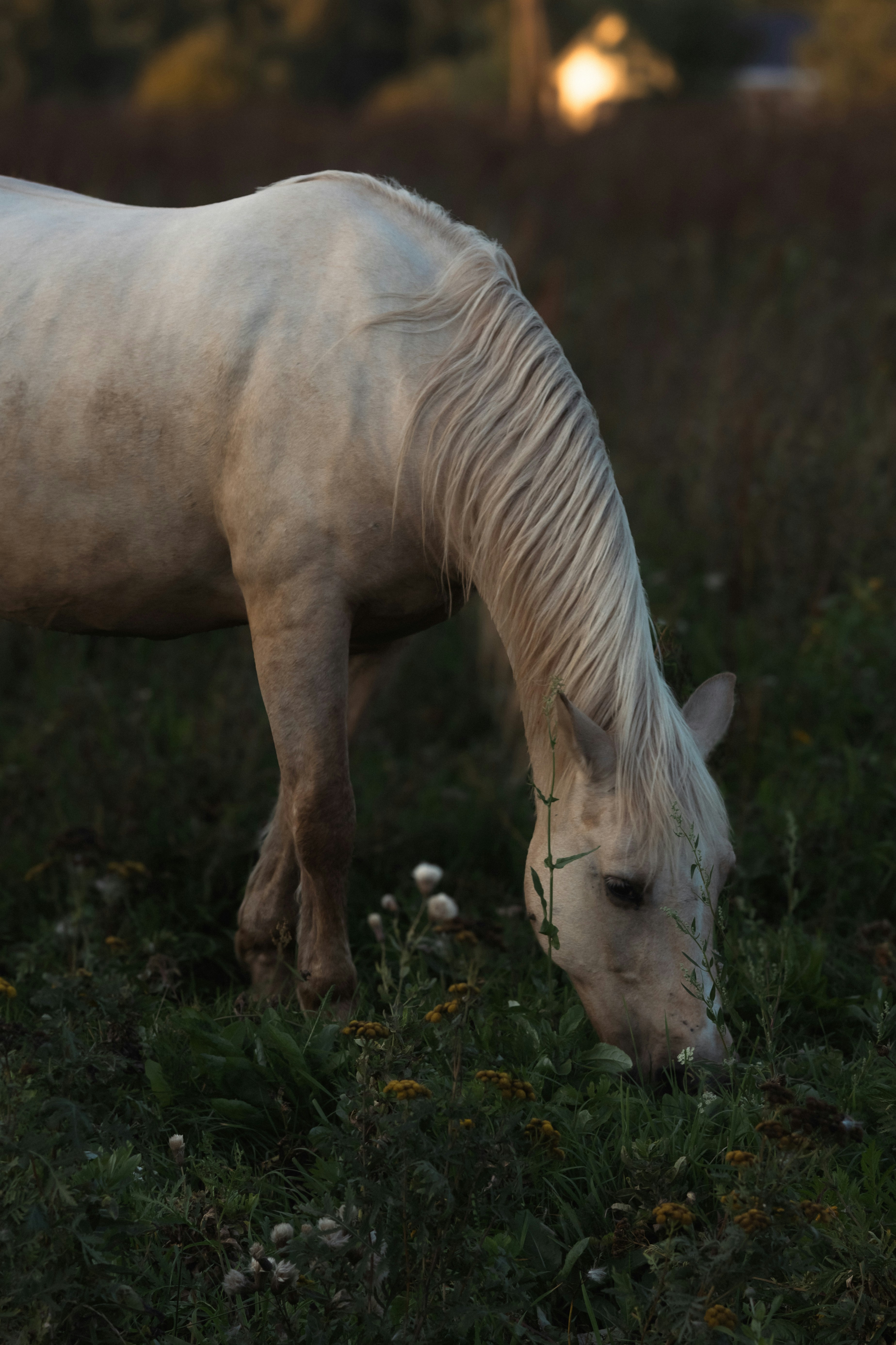 Photo by Ramina M with Canon EOS R10