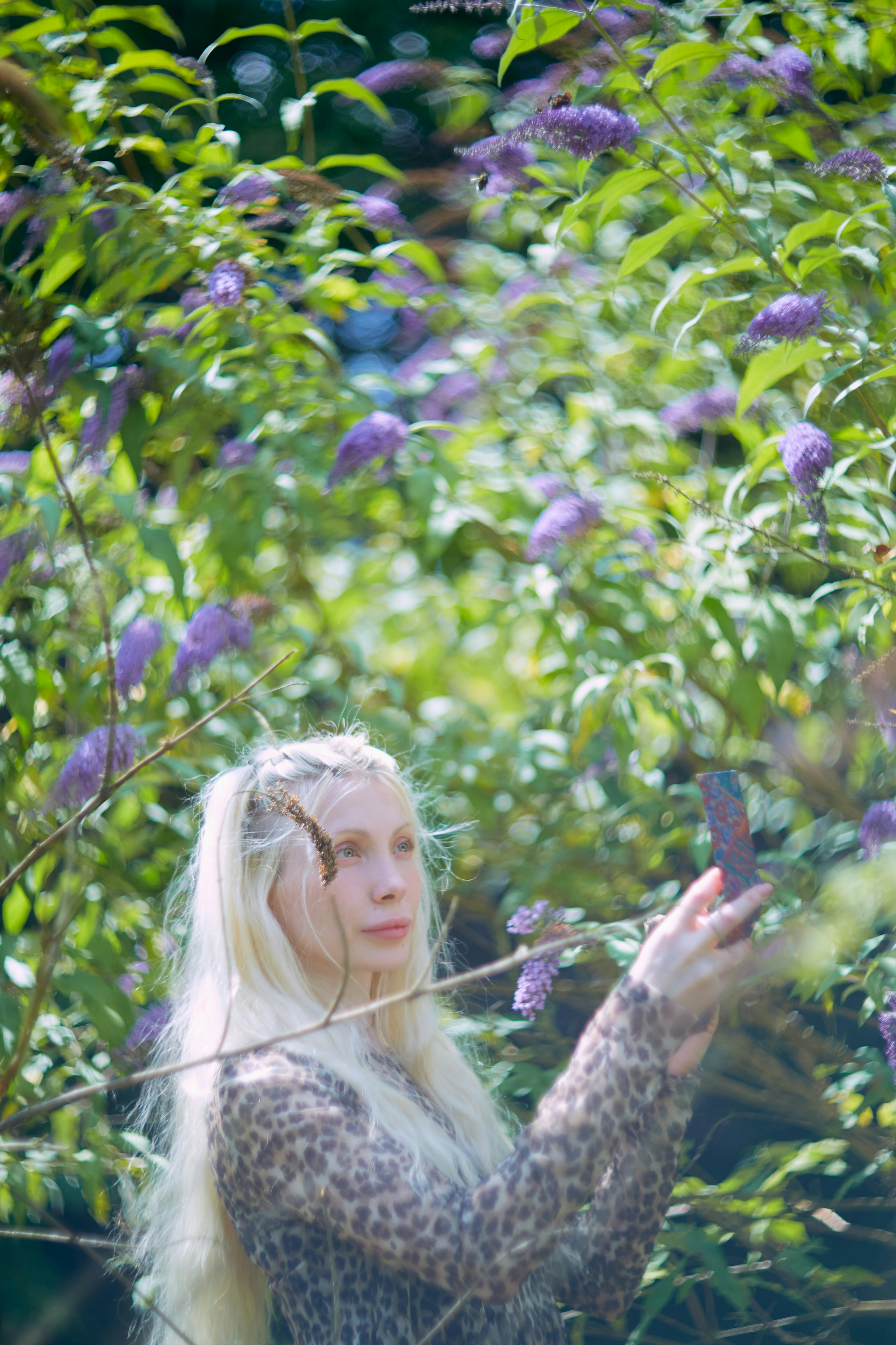Selfie Among Lavender Blooms: Leopard Print in a Sunlit Garden