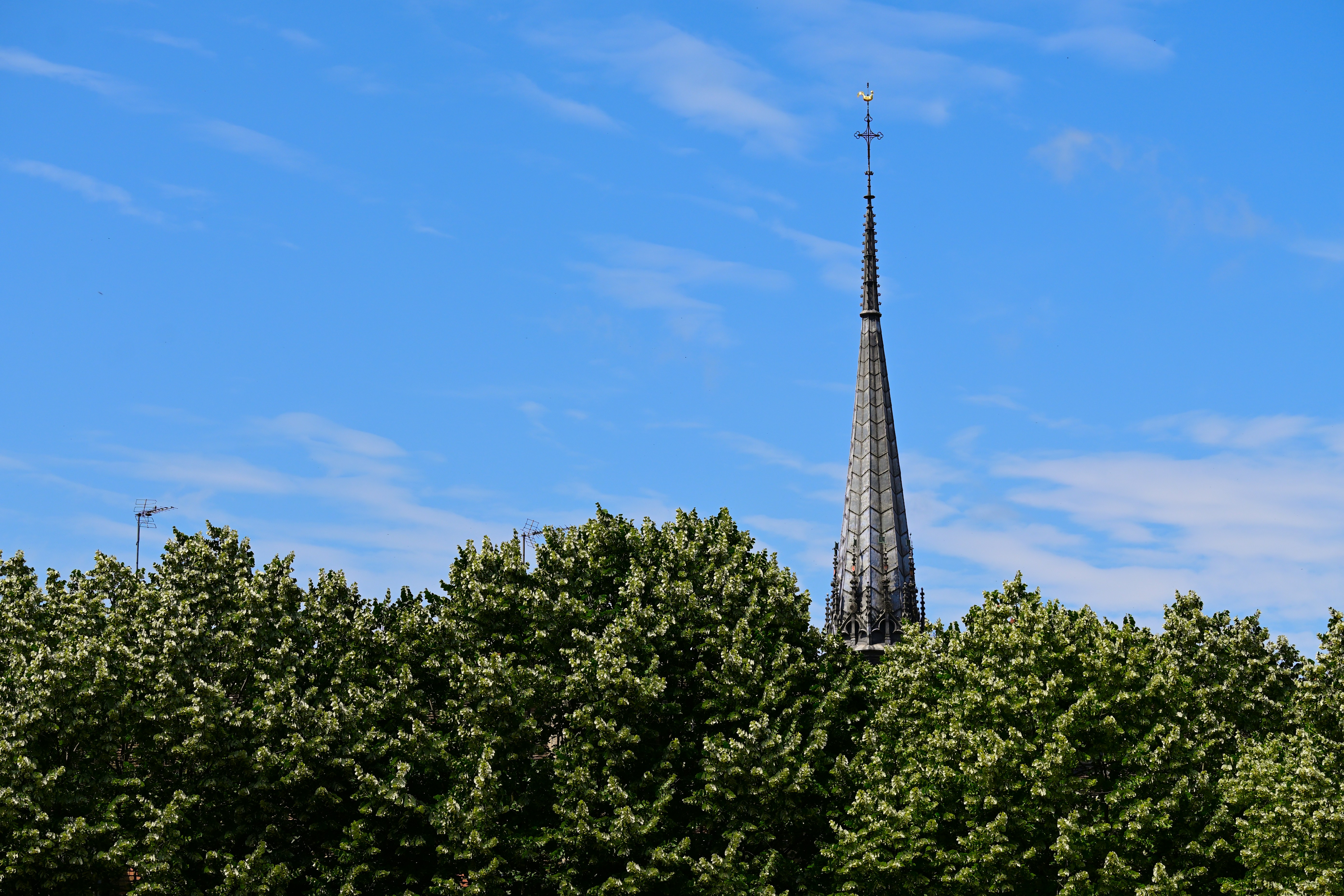 A church steeple is seen through the trees photo – Free Trees Image on ...