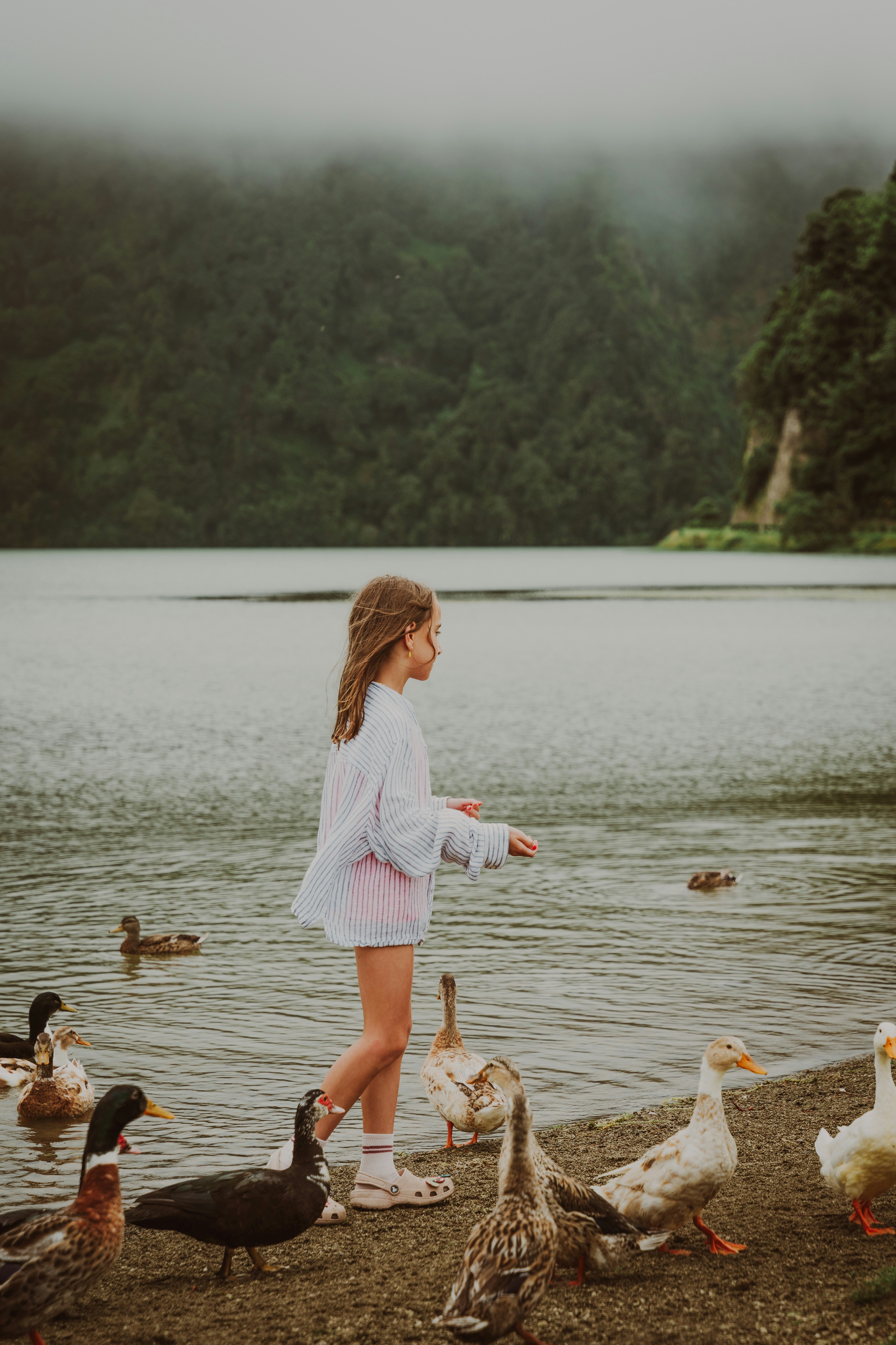 Crumbs and Quacks: A Quiet Lakeside Moment with a Girl and Ducks