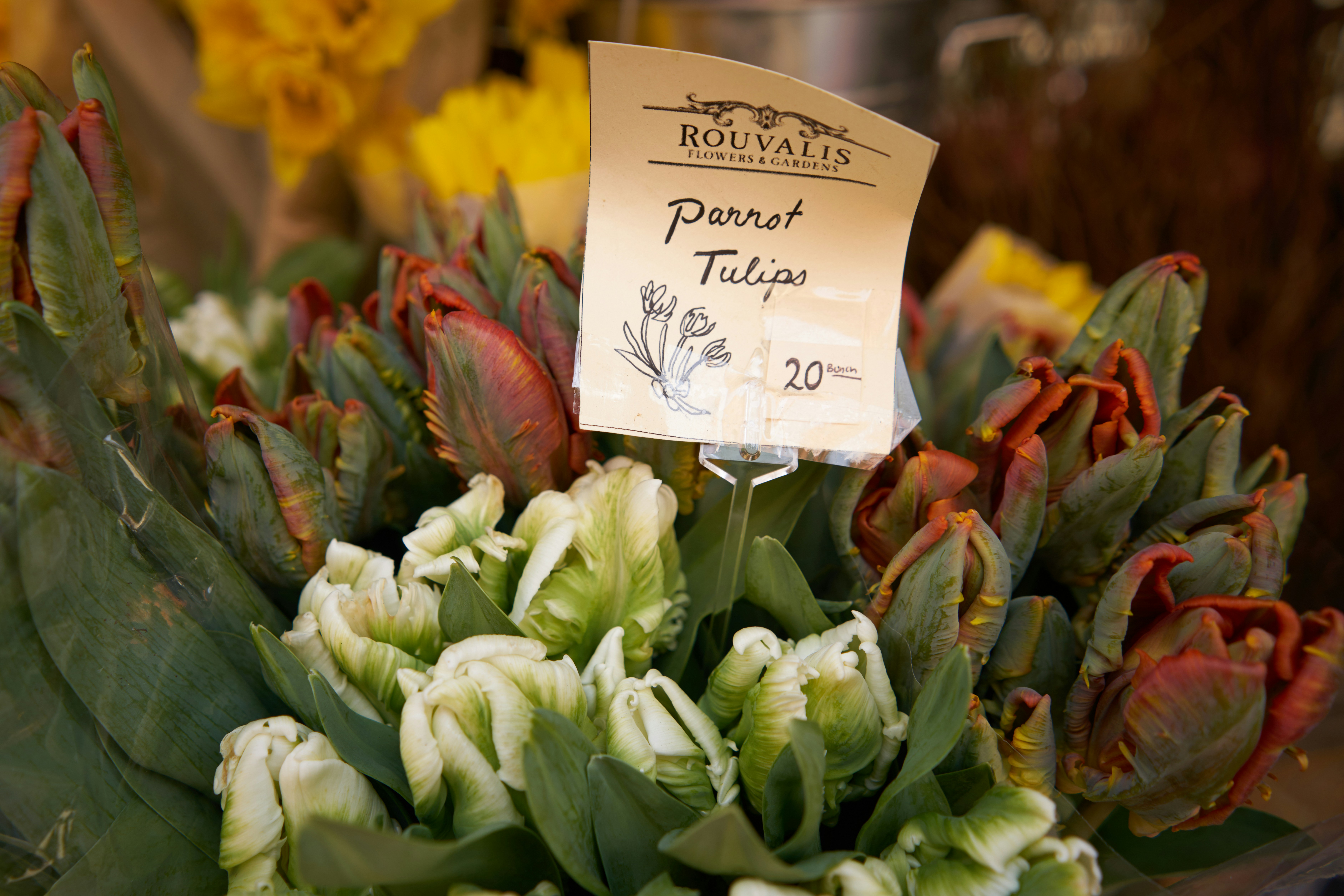 Close-up of a bouquet with a printed tag featuring parrot tulips, surrounded by multicolored petals and green leaves.