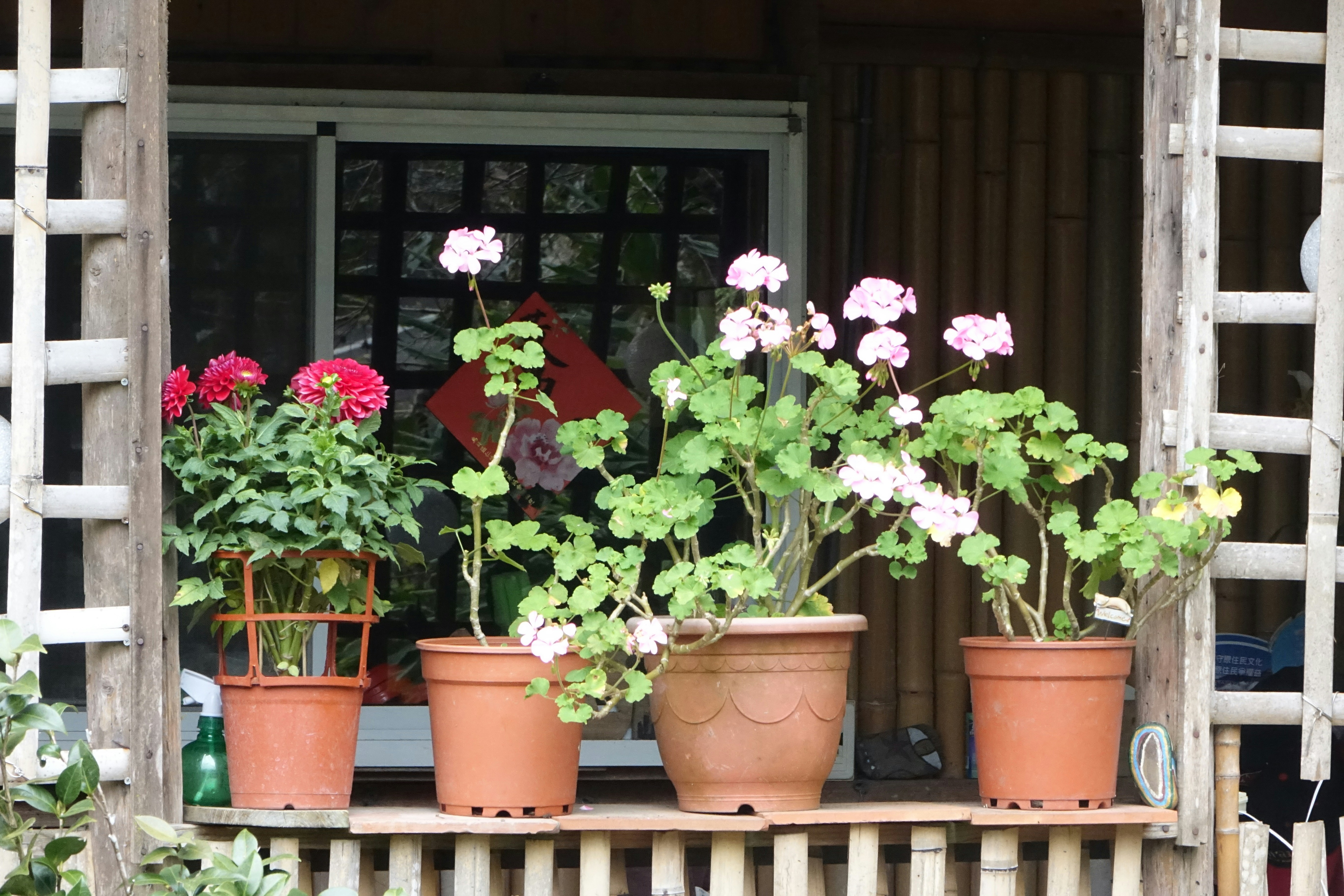 Photo by Arthur Tseng with Sony Cyber-shot RX10 II