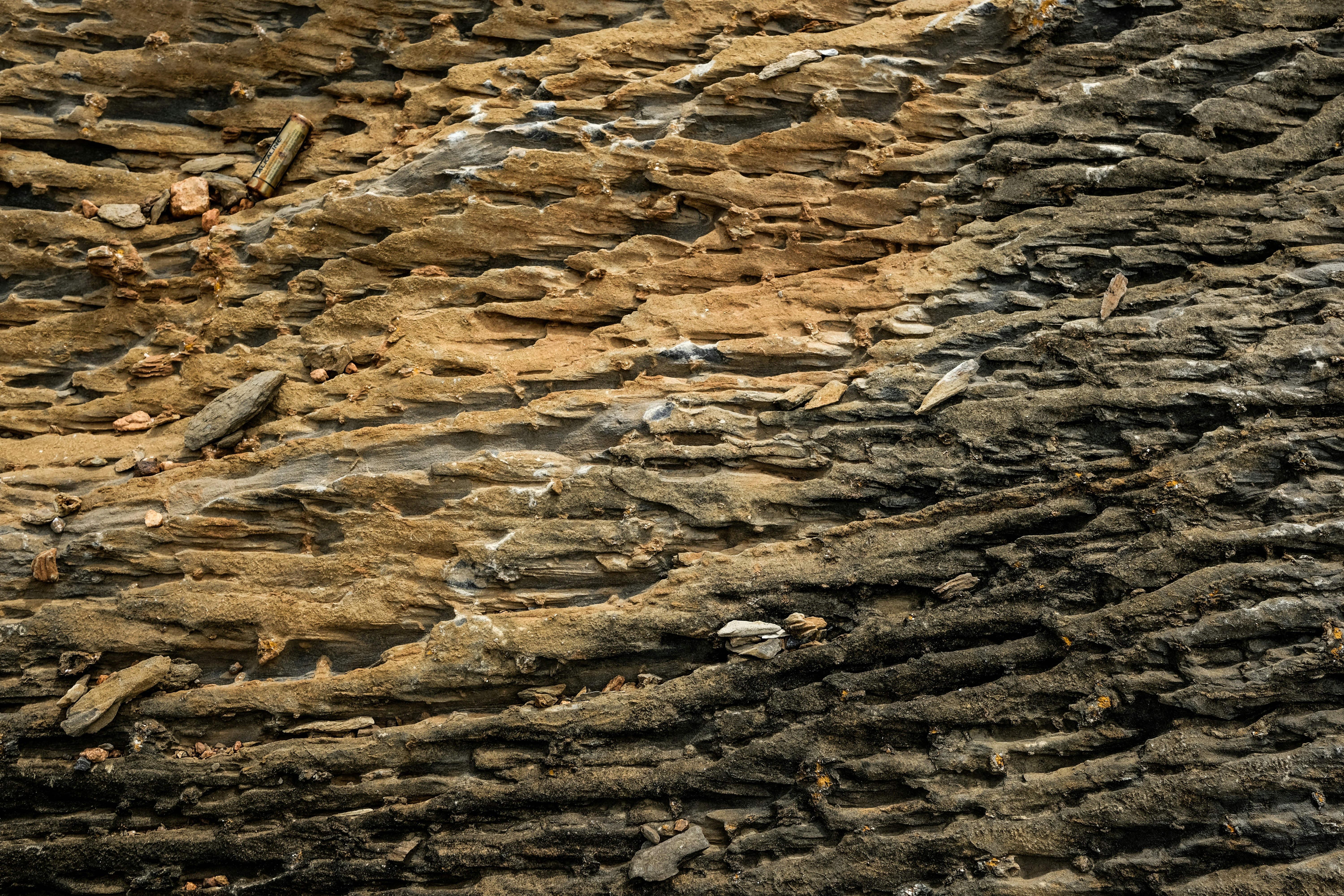 Photo by Askara Svarga with Fujifilm X-T20