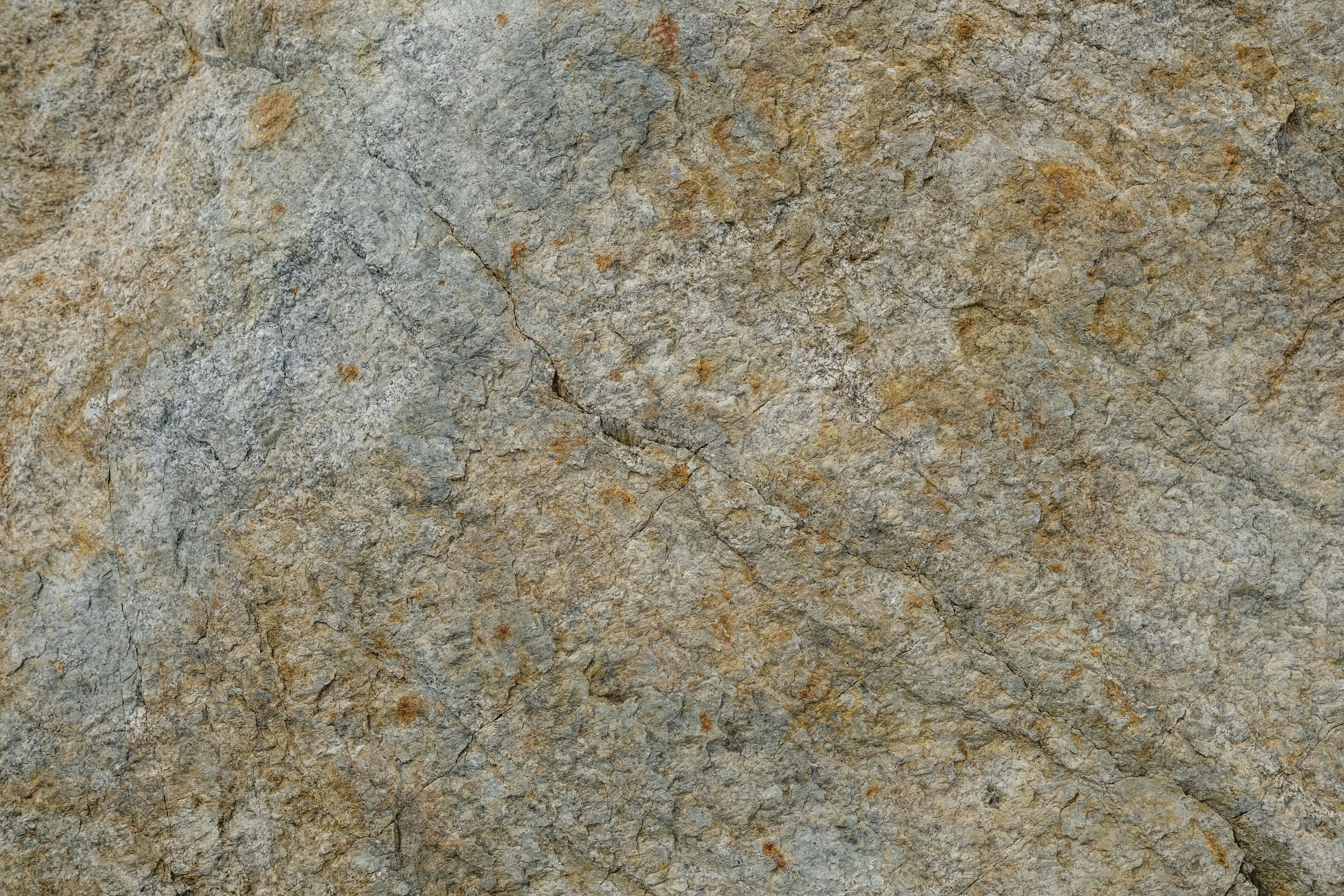 Un gros plan d’un rocher avec un oiseau dessus photo – Image gratuite ...