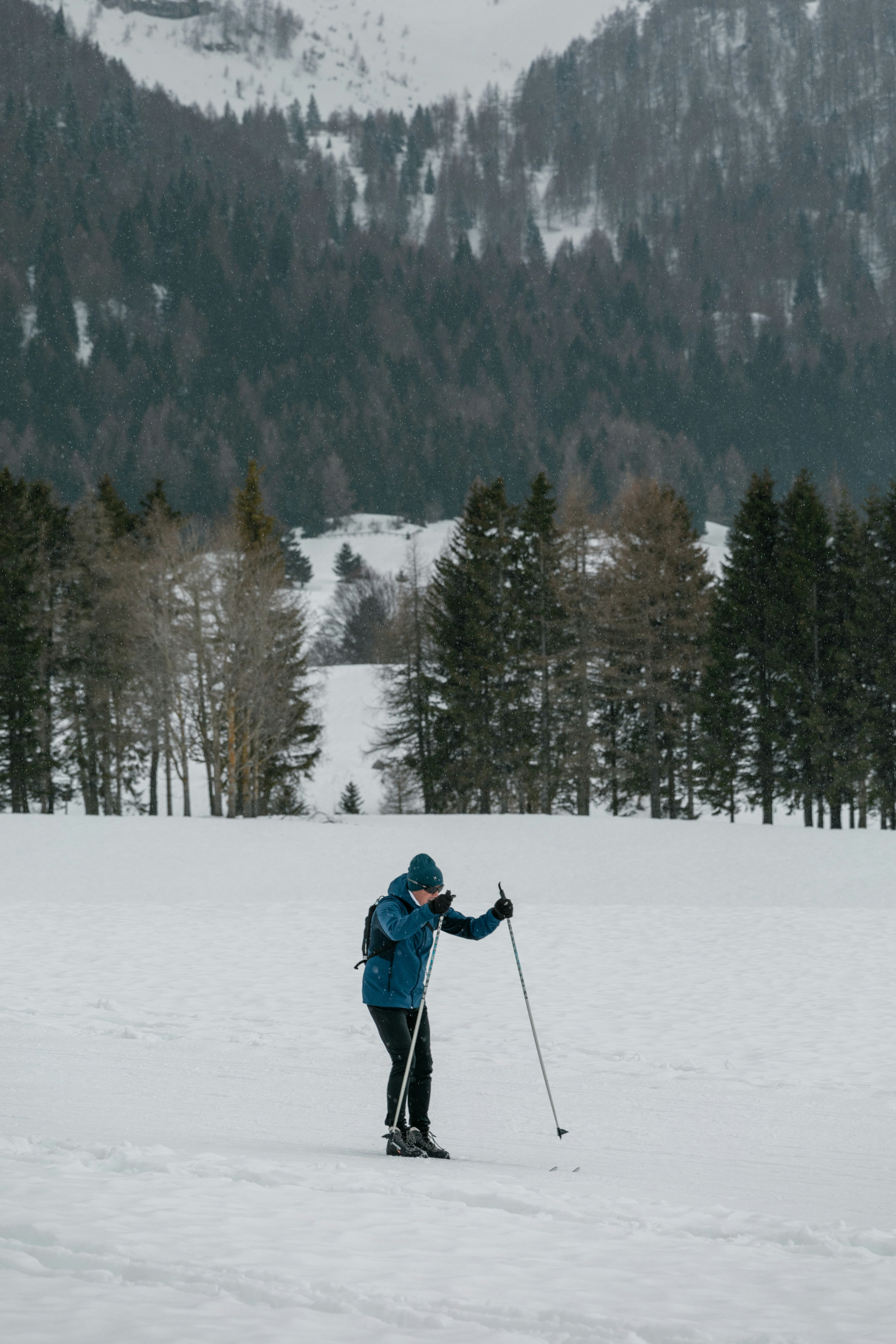 A lone skier traverses a snowy landscape, surrounded by towering trees and a distant mountain backdrop. Snowflakes gently fall, enhancing the serene atmosphere.
