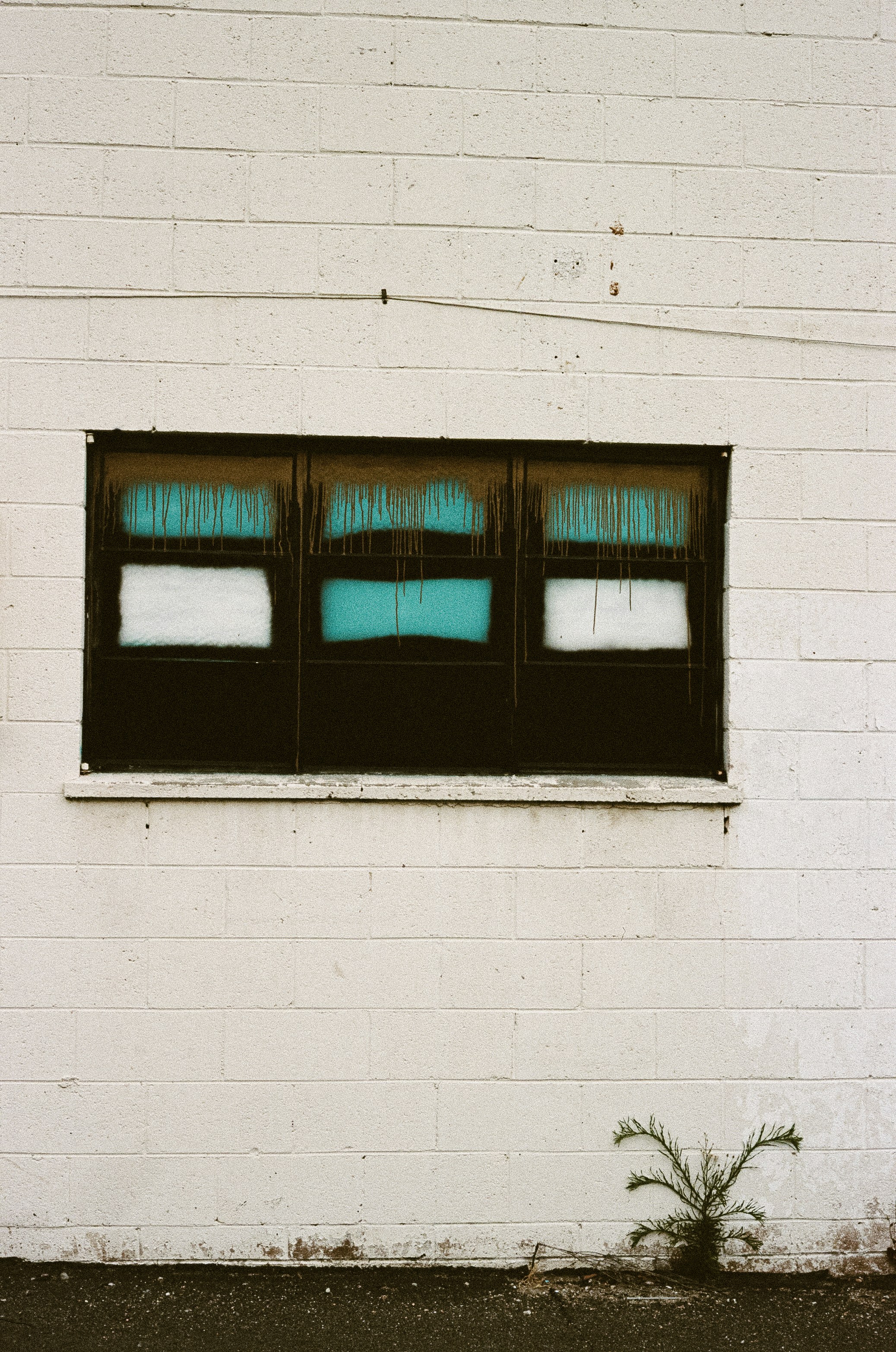 Weathered white brick wall with a dark, multi-pane window showing turquoise reflections and drips, with a small plant at the base.