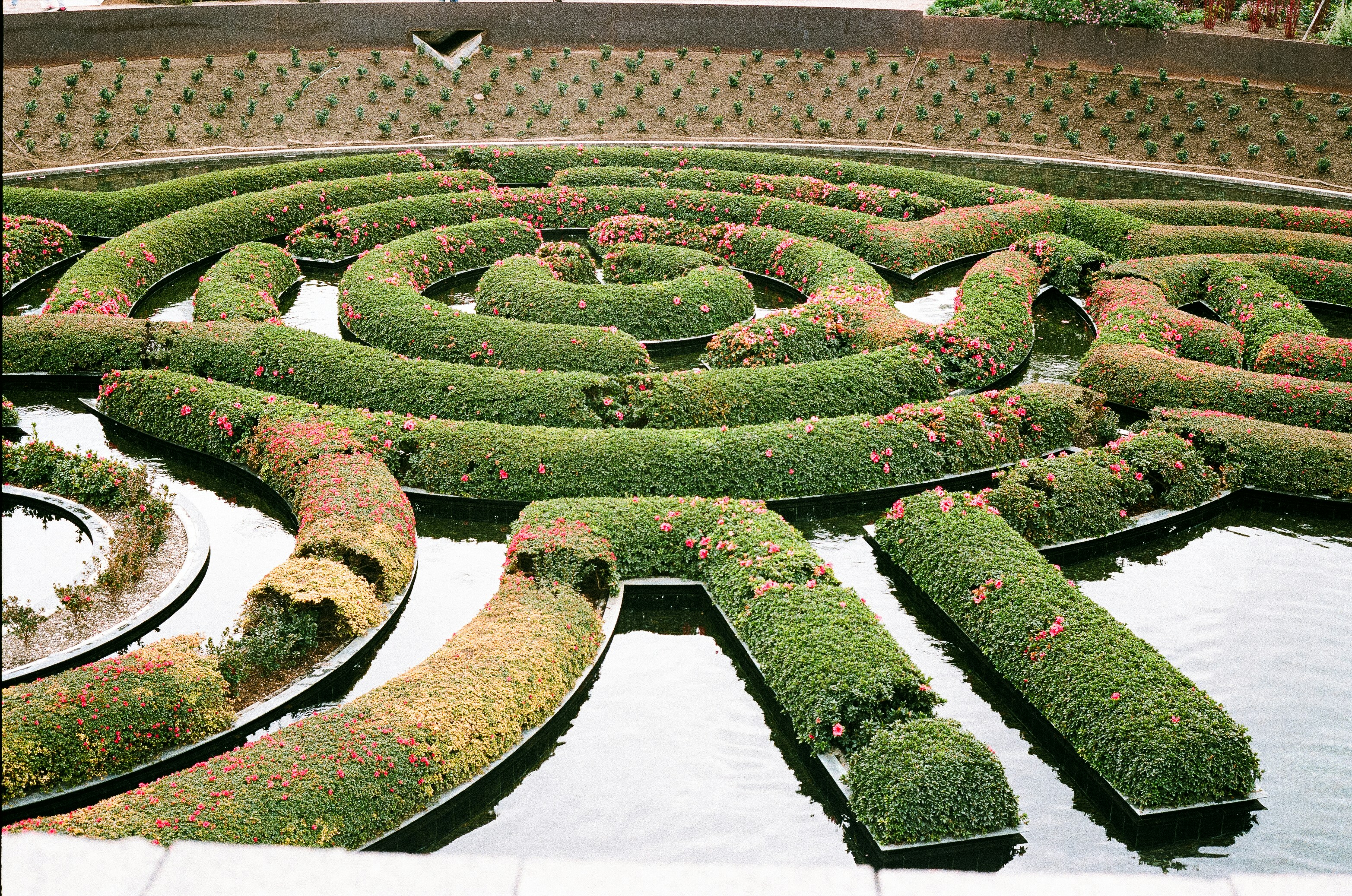 A large circular maze in the middle of a pond photo – Free The getty ...