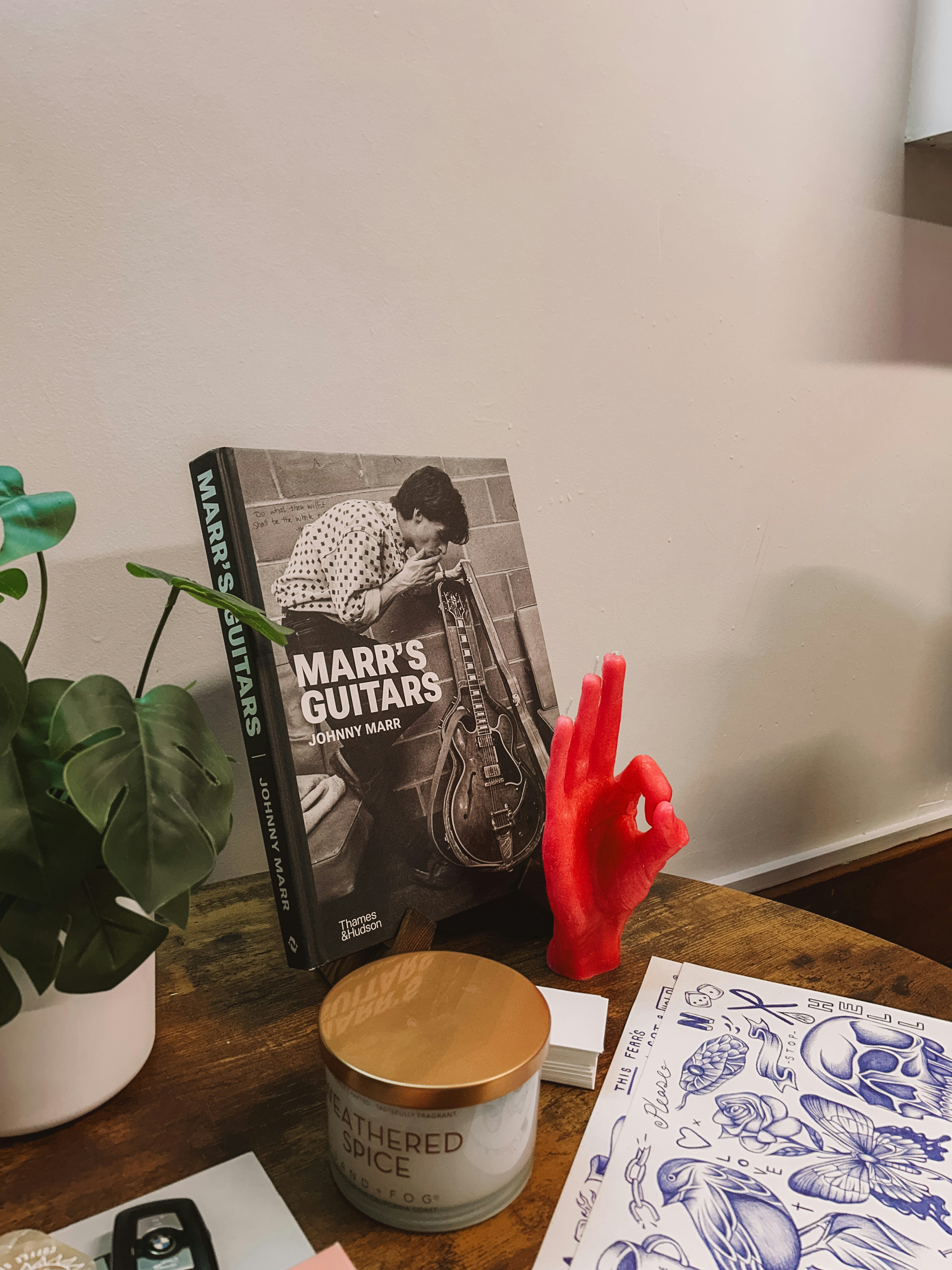 Guitarist’s Moment: A Still Life with Tools and Plant