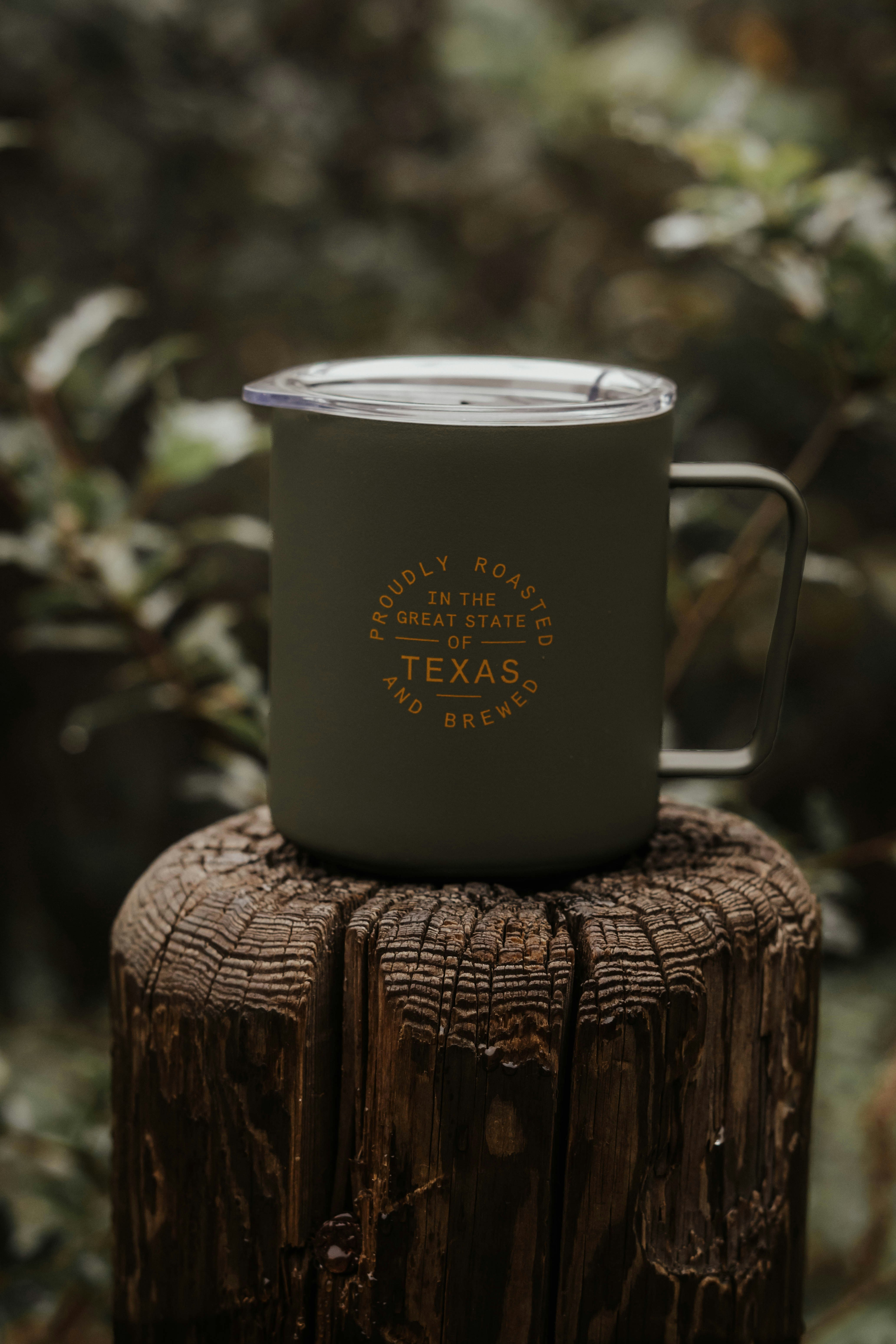 Texas Roast in Quiet Forest Light: A Matte Green Mug on a Weathered Log