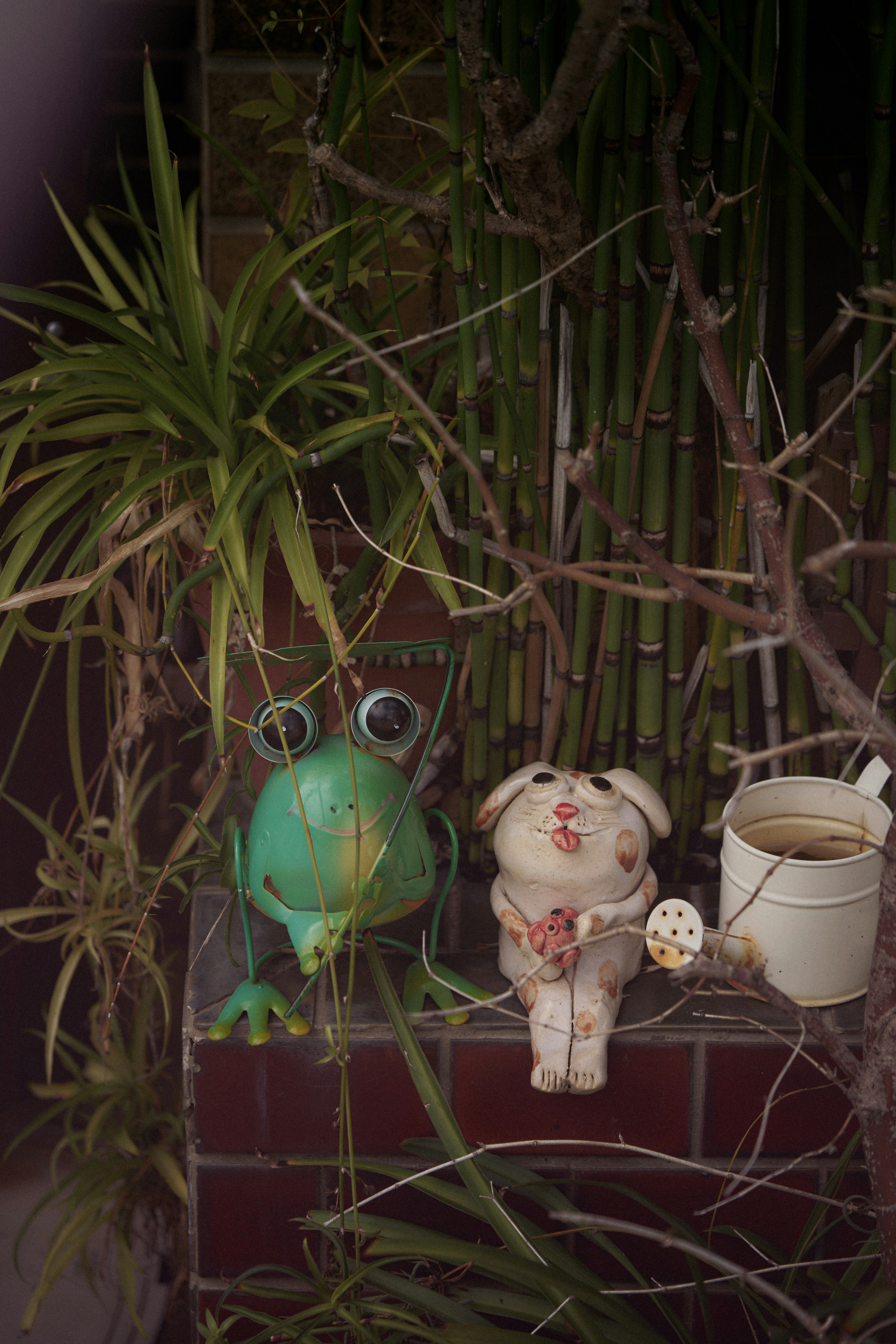 Photo by Buddy AN with Sony Alpha 7R V