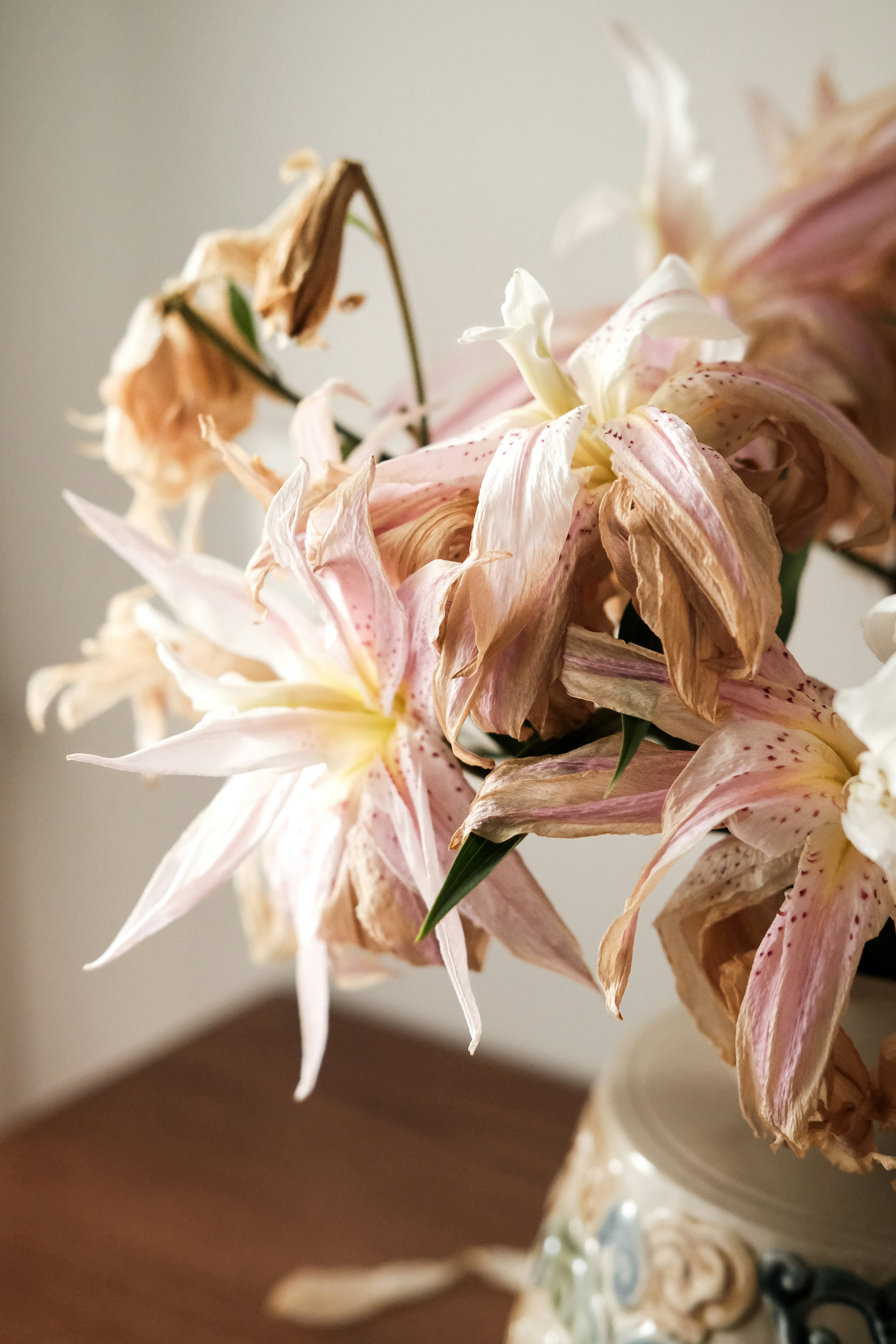 Petaled Bouquet in Soft Light